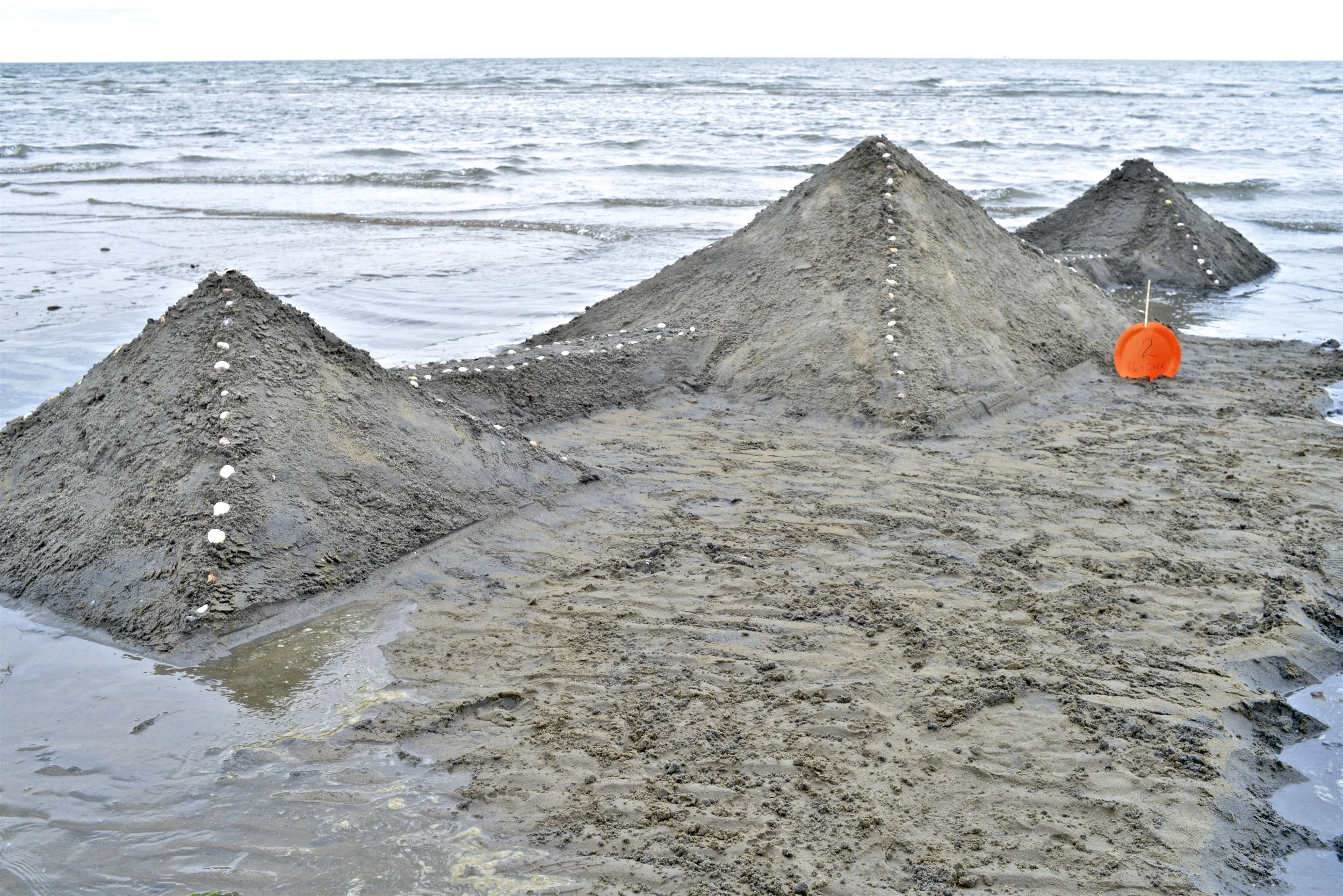 Galleries - Sand Sculpture — Milford Arts Council
