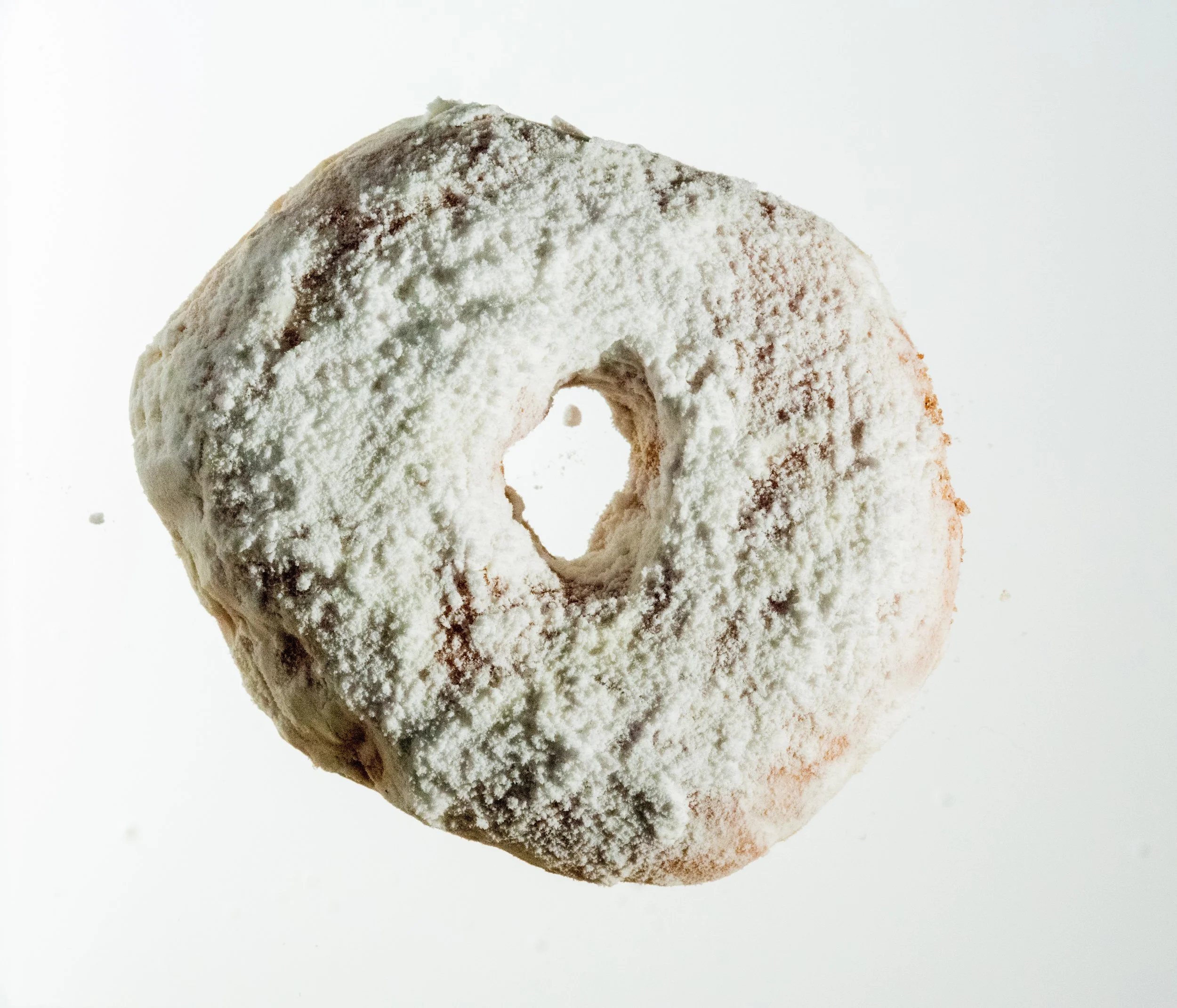 Our Donuts — The Wandering Donut