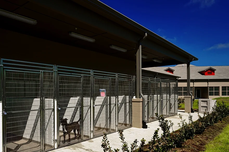 Shelter Planners Of America