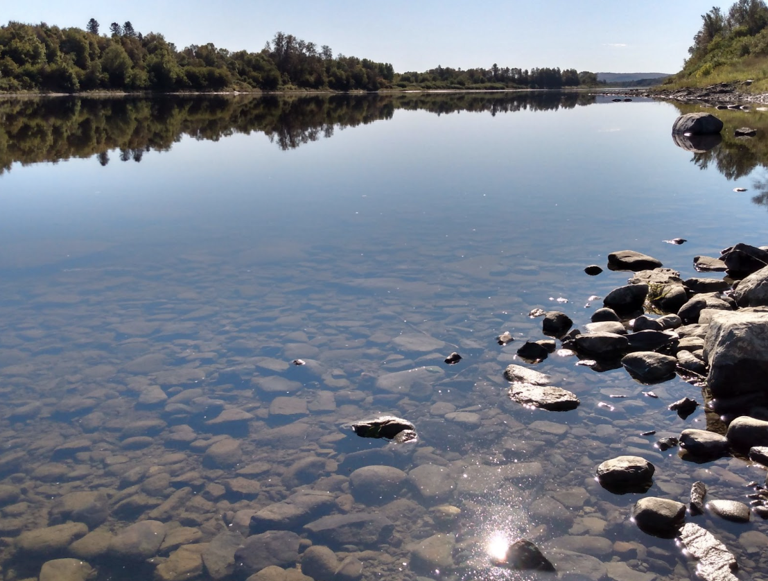 A Message From The Beautiful River — Pace e Bene Nonviolence Service