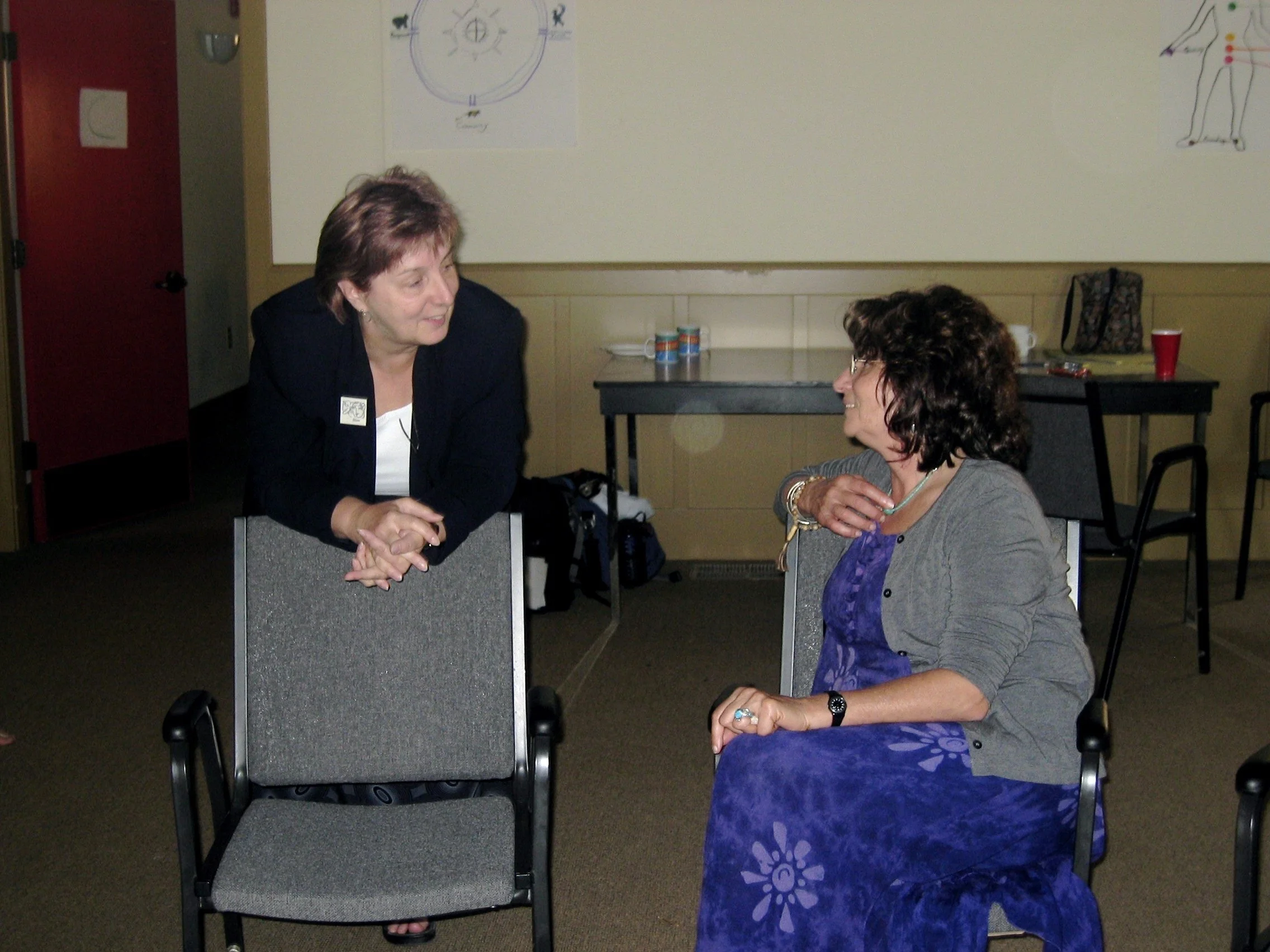 The Light of Soul-Force: Remembering Veronica Pelicaric — Pace e Bene ...