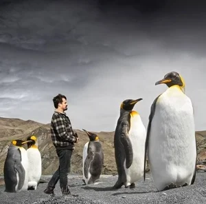 Extinct Colossus Penguin Was Nearly 7 Feet Tall — Pegasus Tutors