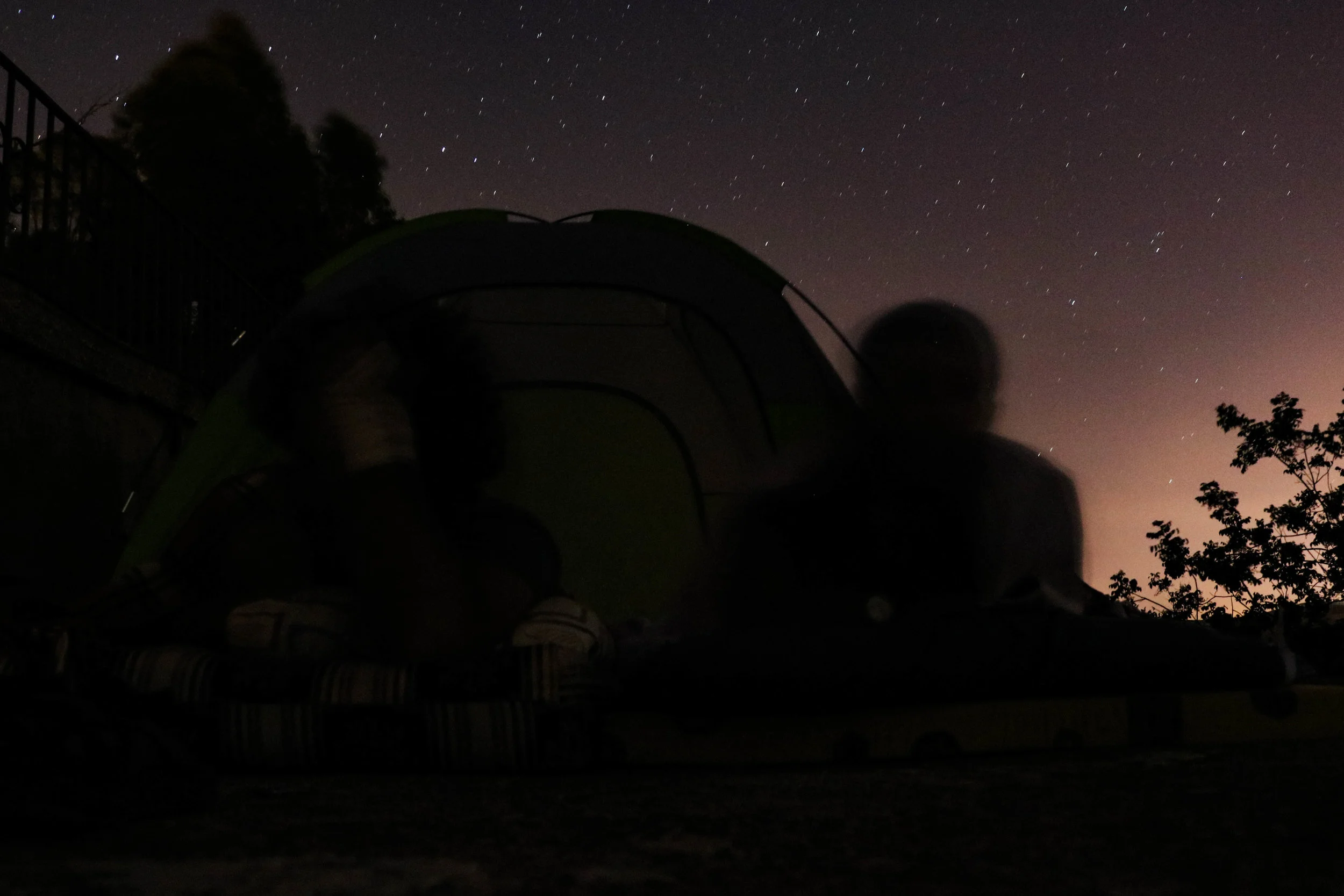 palestine — Bannarchy