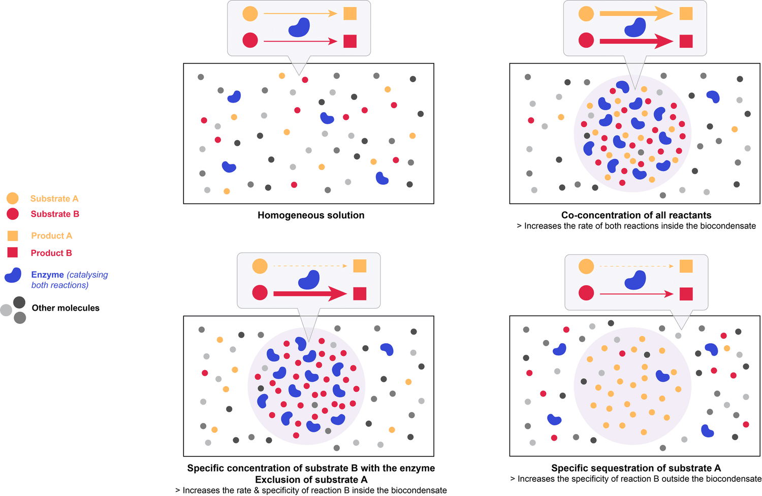 Phase Separation — The Animation Lab