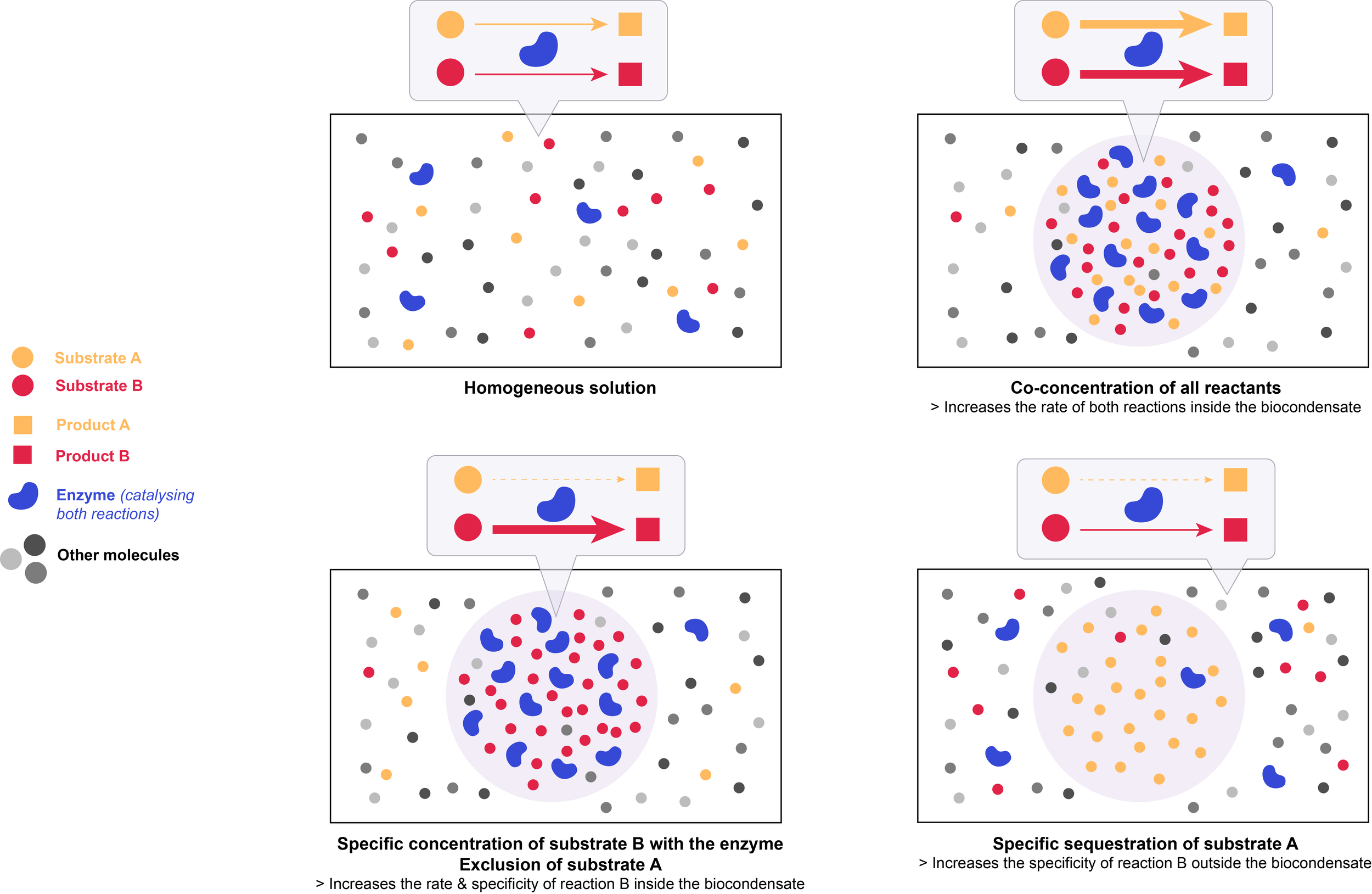 Phase Separation — The Animation Lab