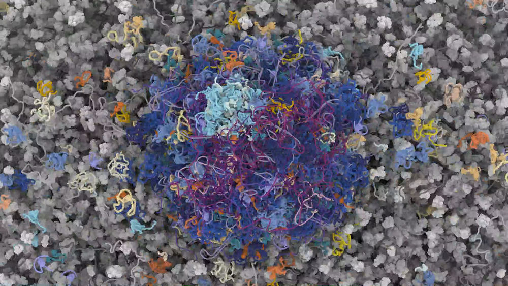 Projects — The Animation Lab