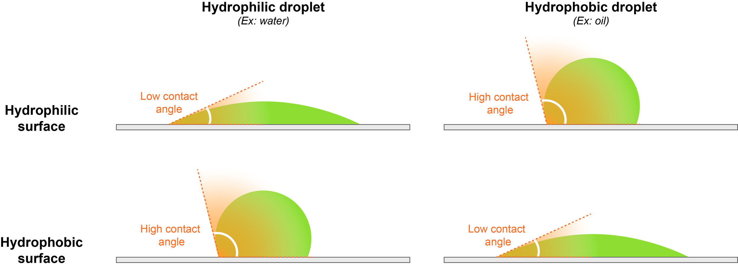 Phase Separation — The Animation Lab