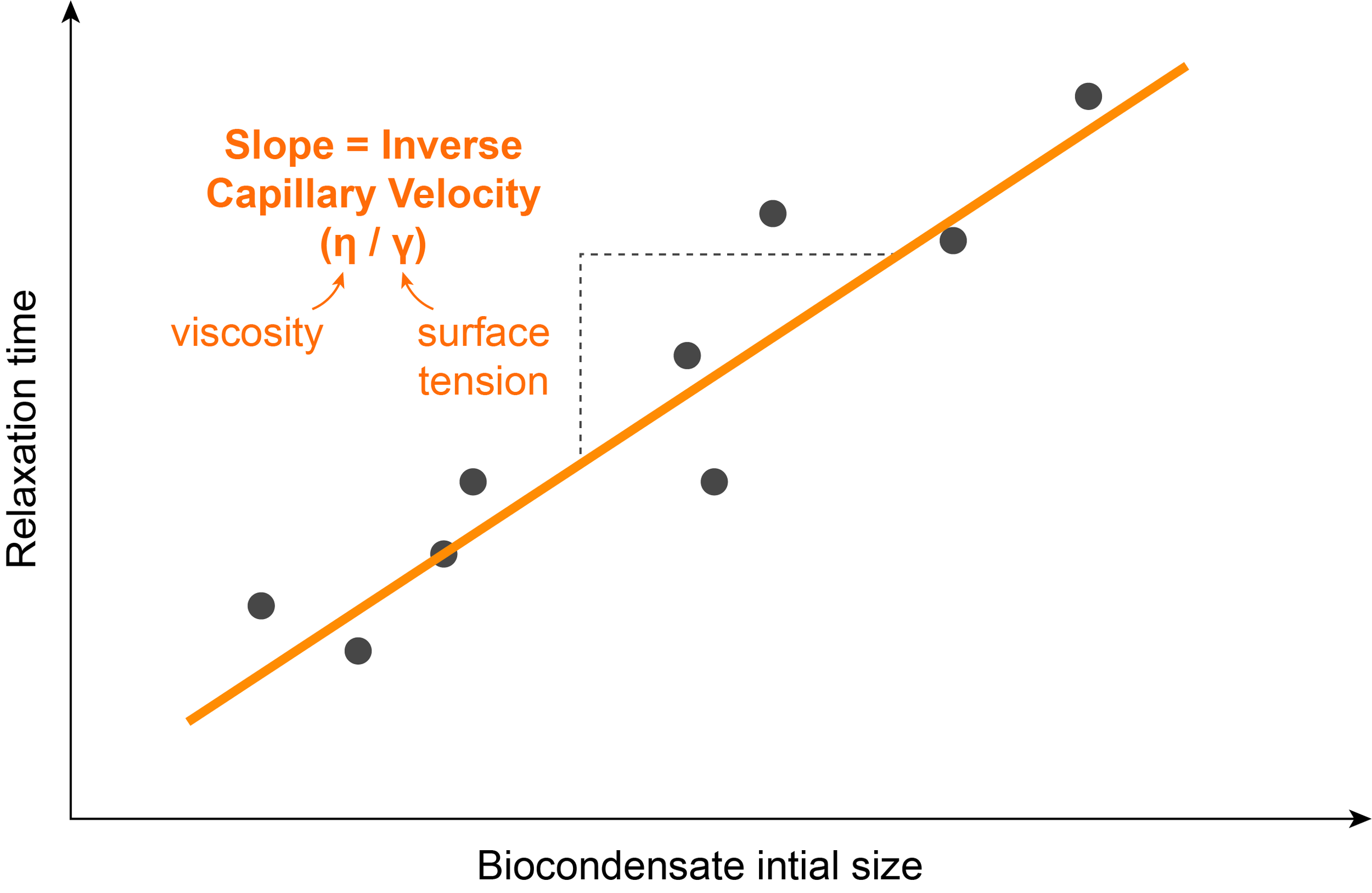 Phase Separation — The Animation Lab