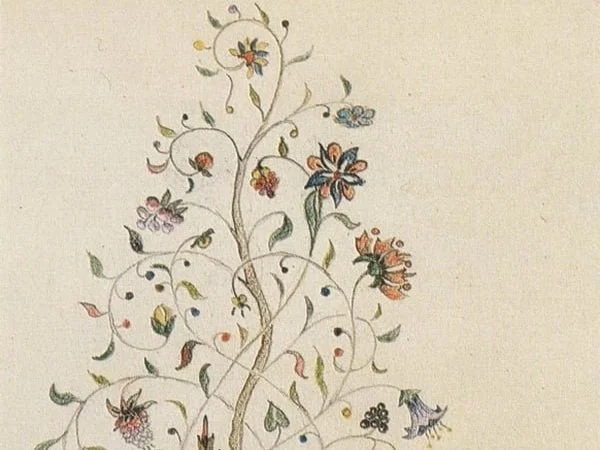 Finding Athelas: investigating perfumes in Tolkien's legendarium — The ...