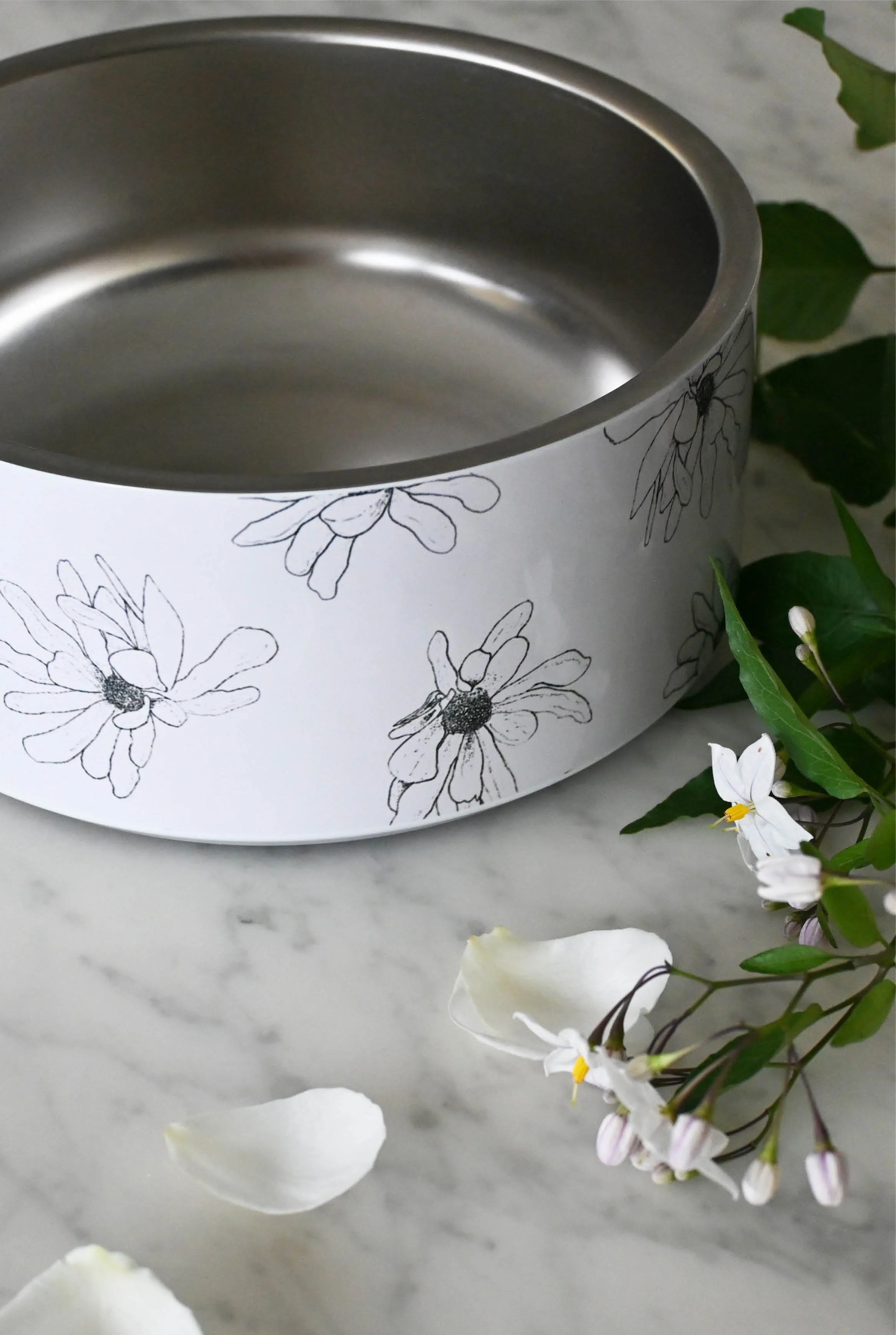 Cute Artist Designed Bowls for Dogs — Talia Designs