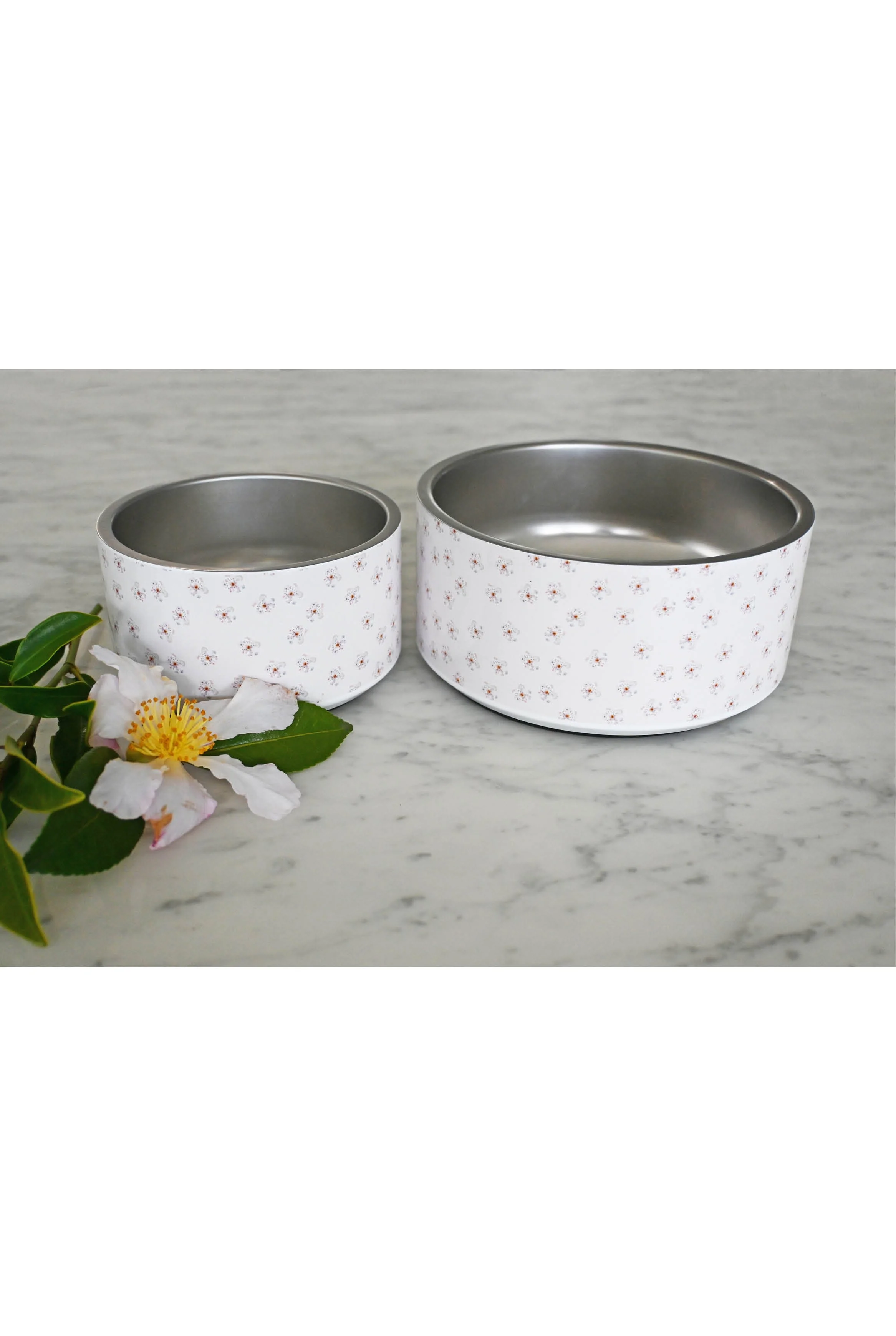 Cute Artist Designed Bowls for Dogs — Talia Designs