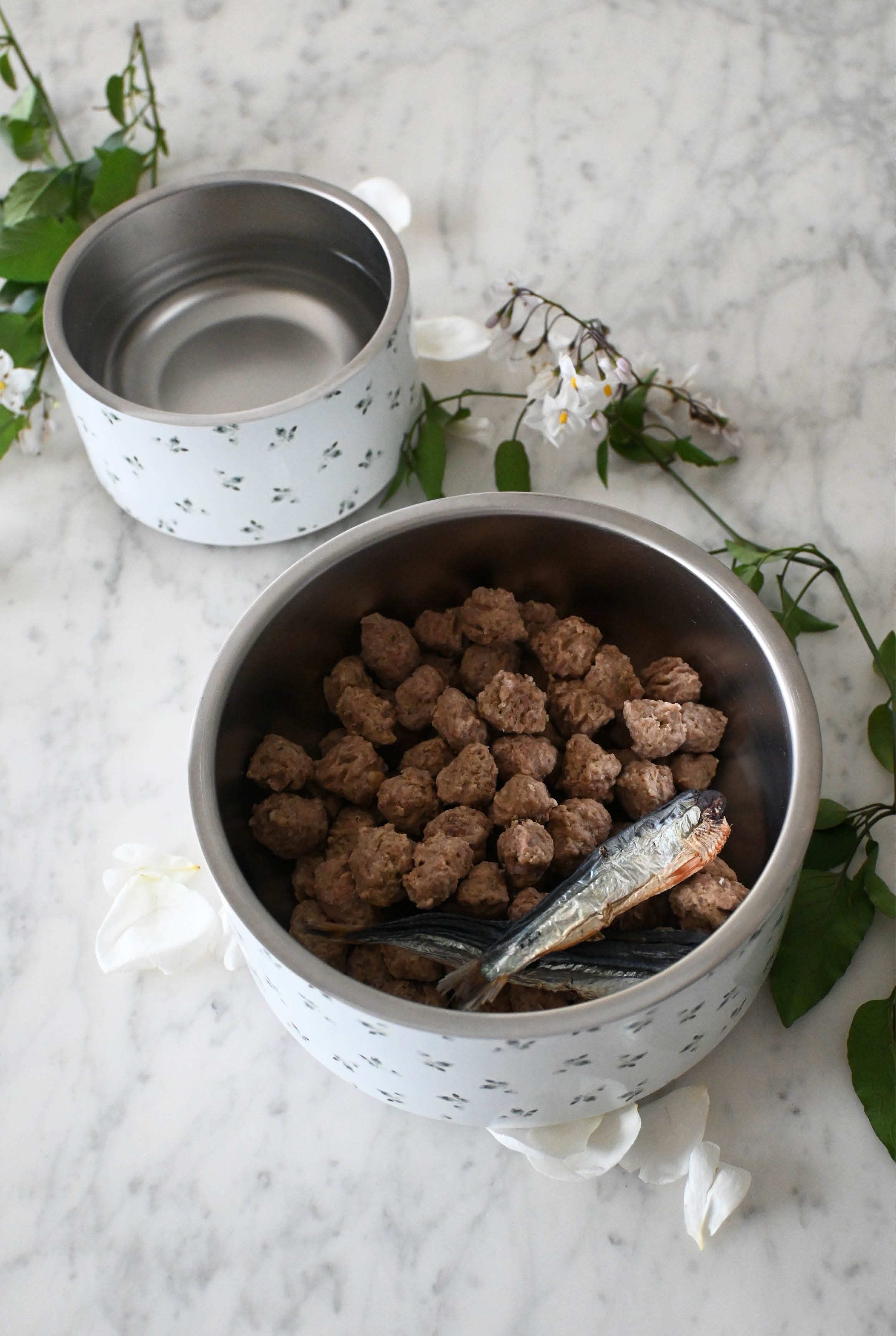 Cute Artist Designed Bowls for Dogs — Talia Designs