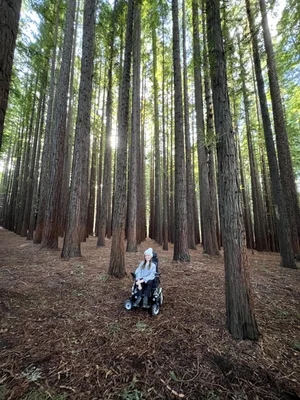 The Redwood Forest — Talia Designs