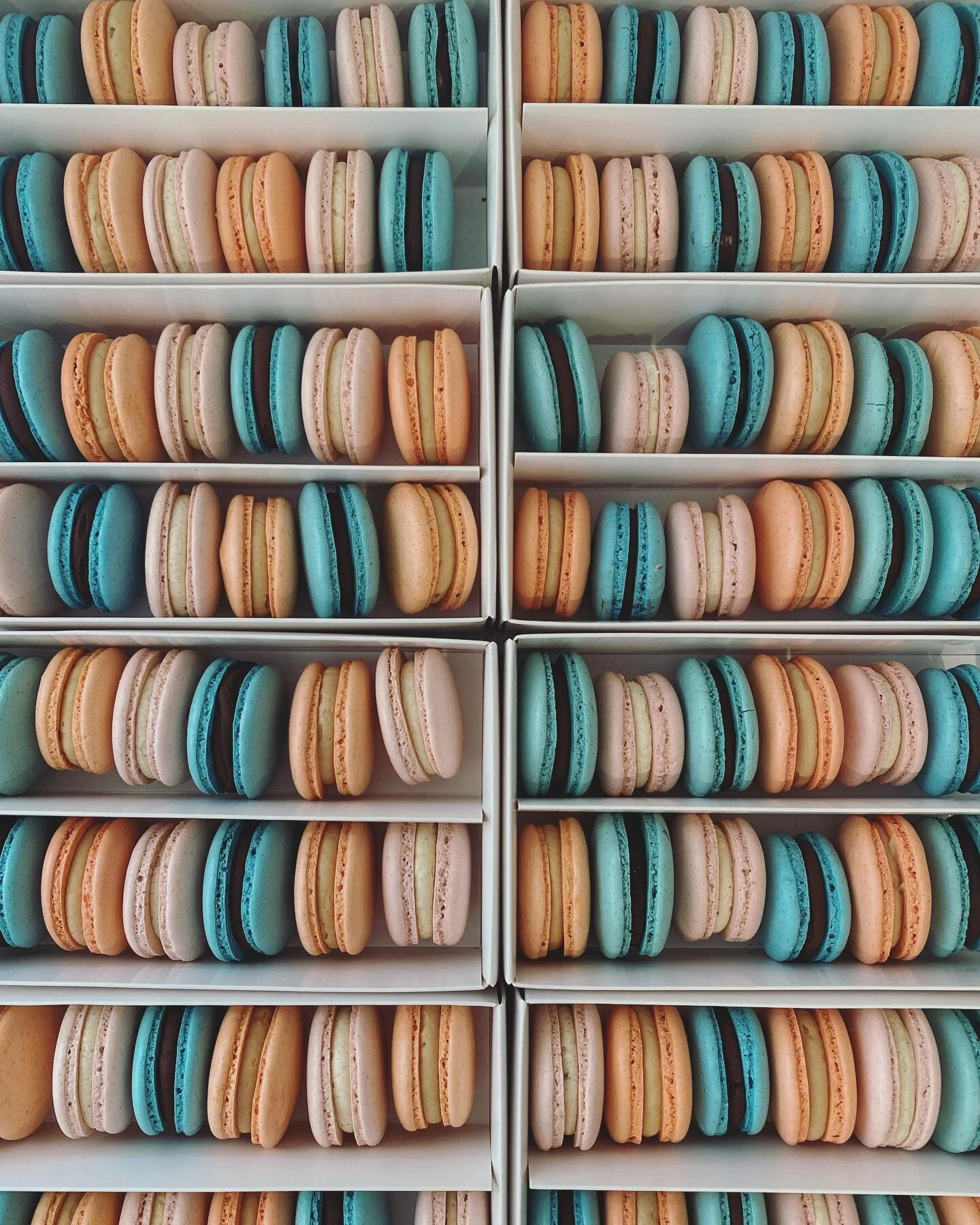 Gallery — Caitlyn Cake Design | Formerly Food at Yours