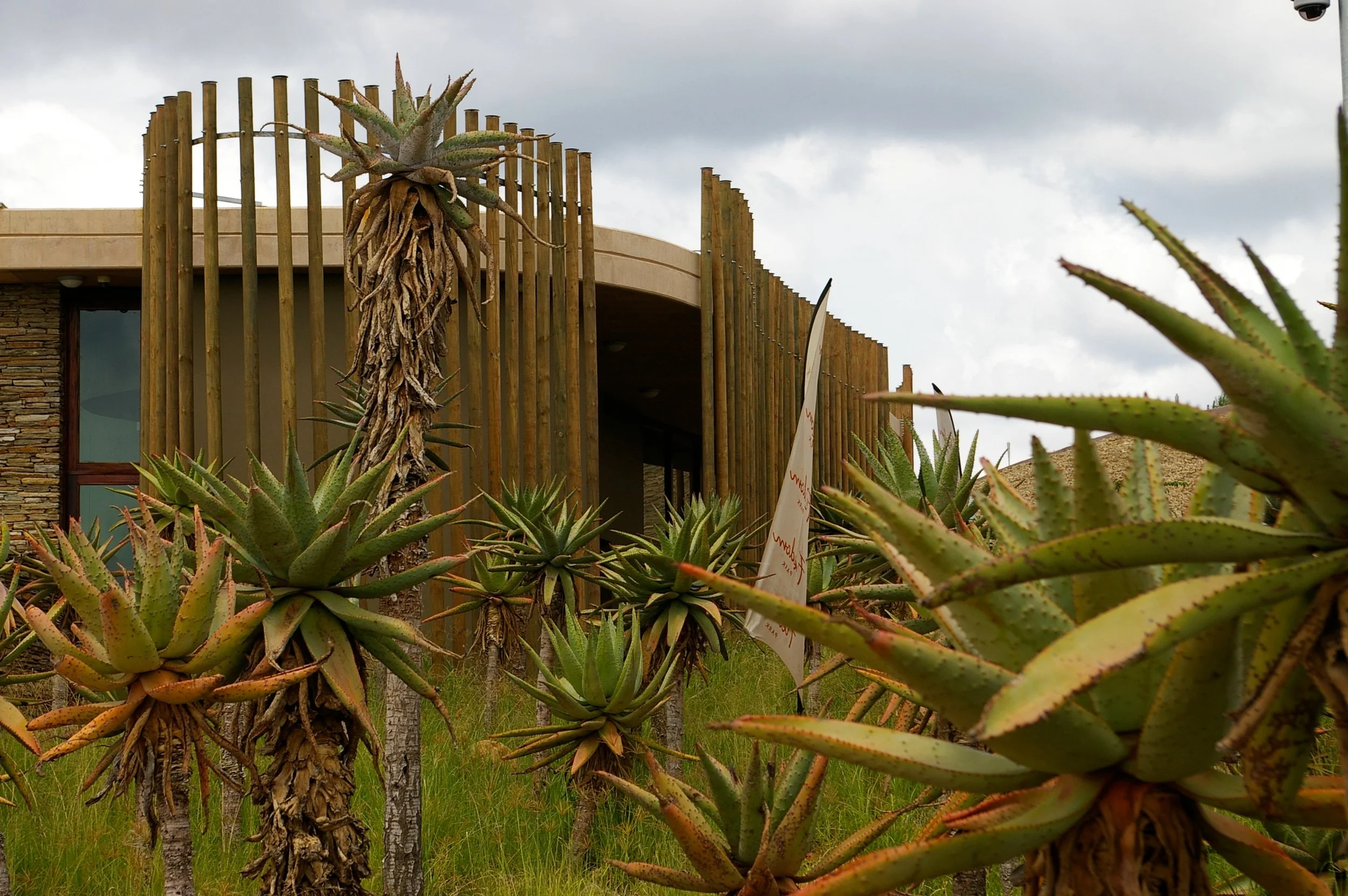 The Freedom Park Garden of Remembrance — GREENinc Landscape ...