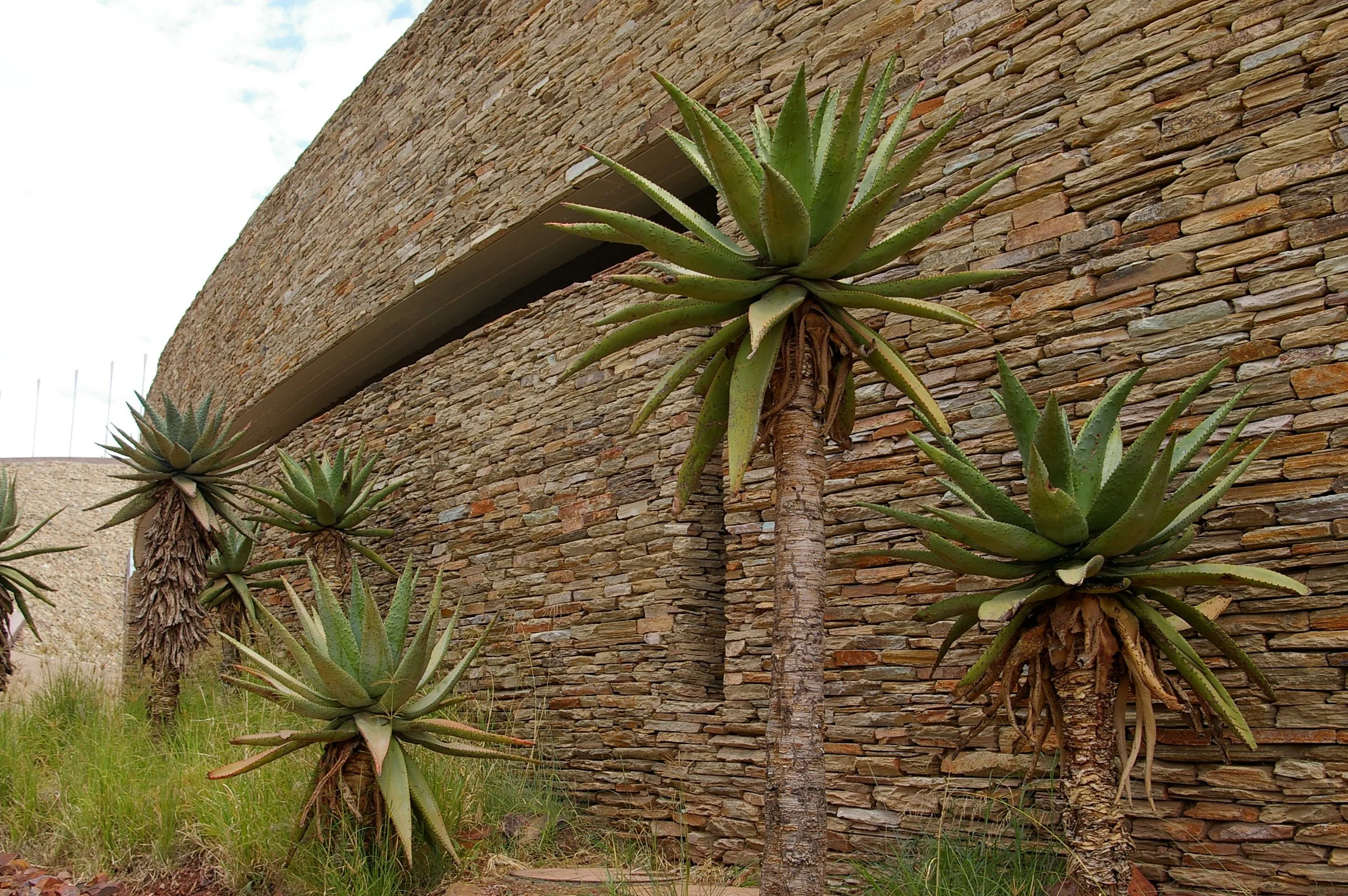 The Freedom Park Garden of Remembrance — GREENinc Landscape ...