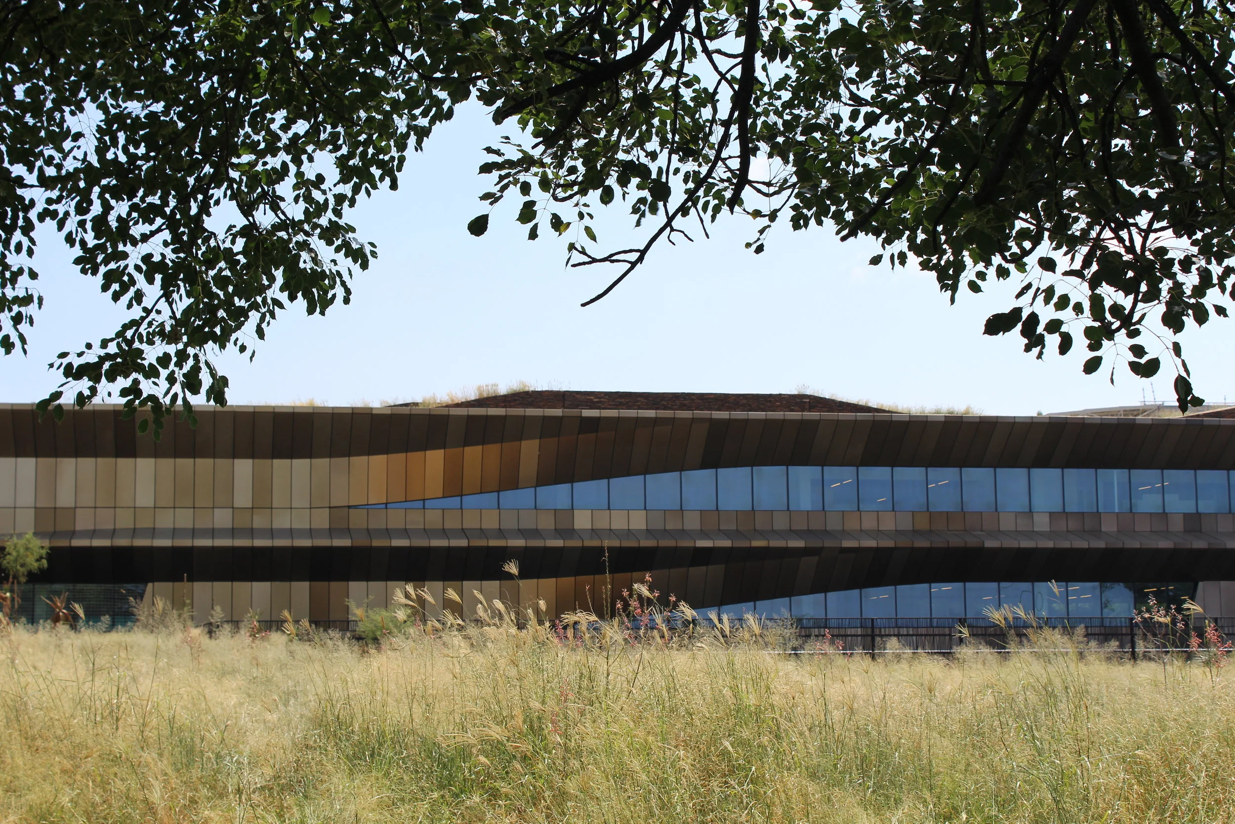 Botswana Innovation Hub — GREENinc Landscape Architecture + Urbanism