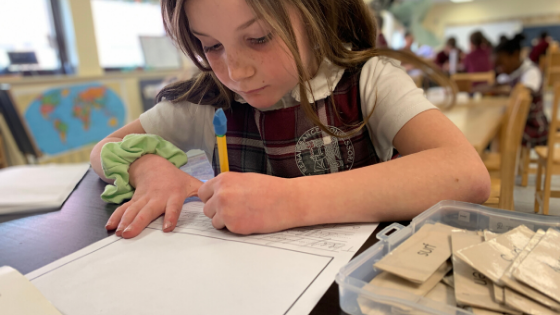 Paving the Way to Penmanship: A Montessori Approach to Handwriting ...