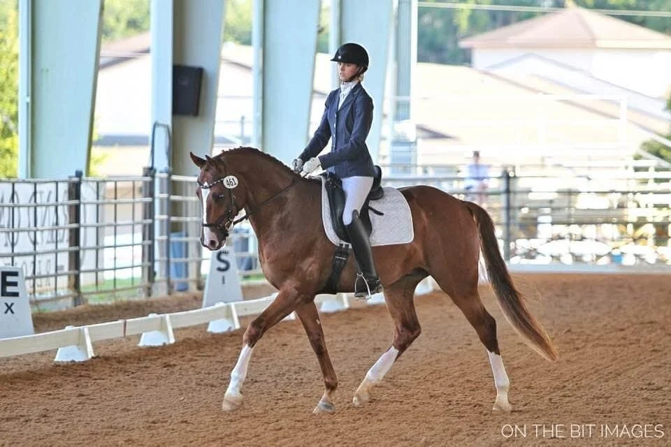 Anna Merritt DressageGallery
