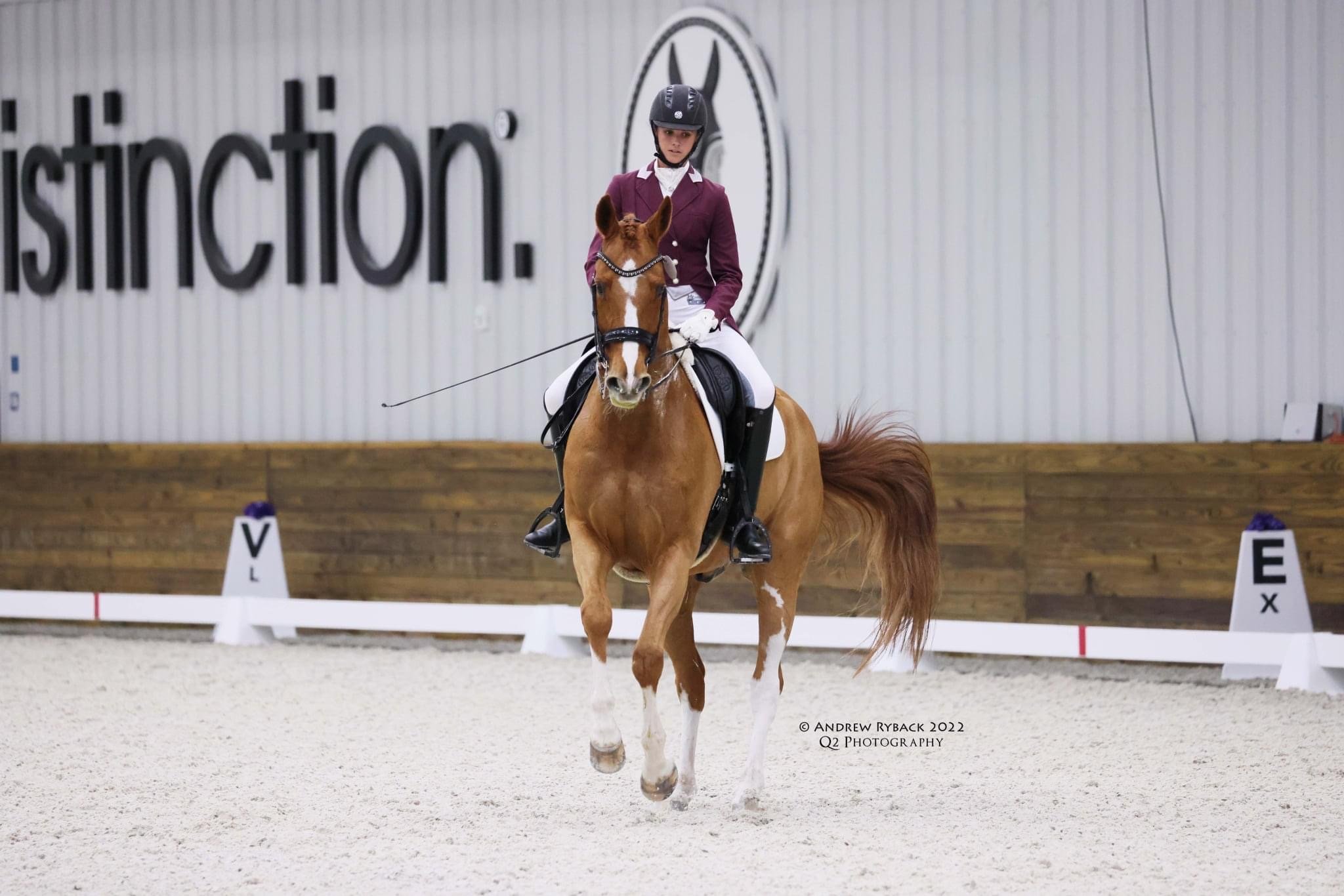 Anna Merritt Dressage