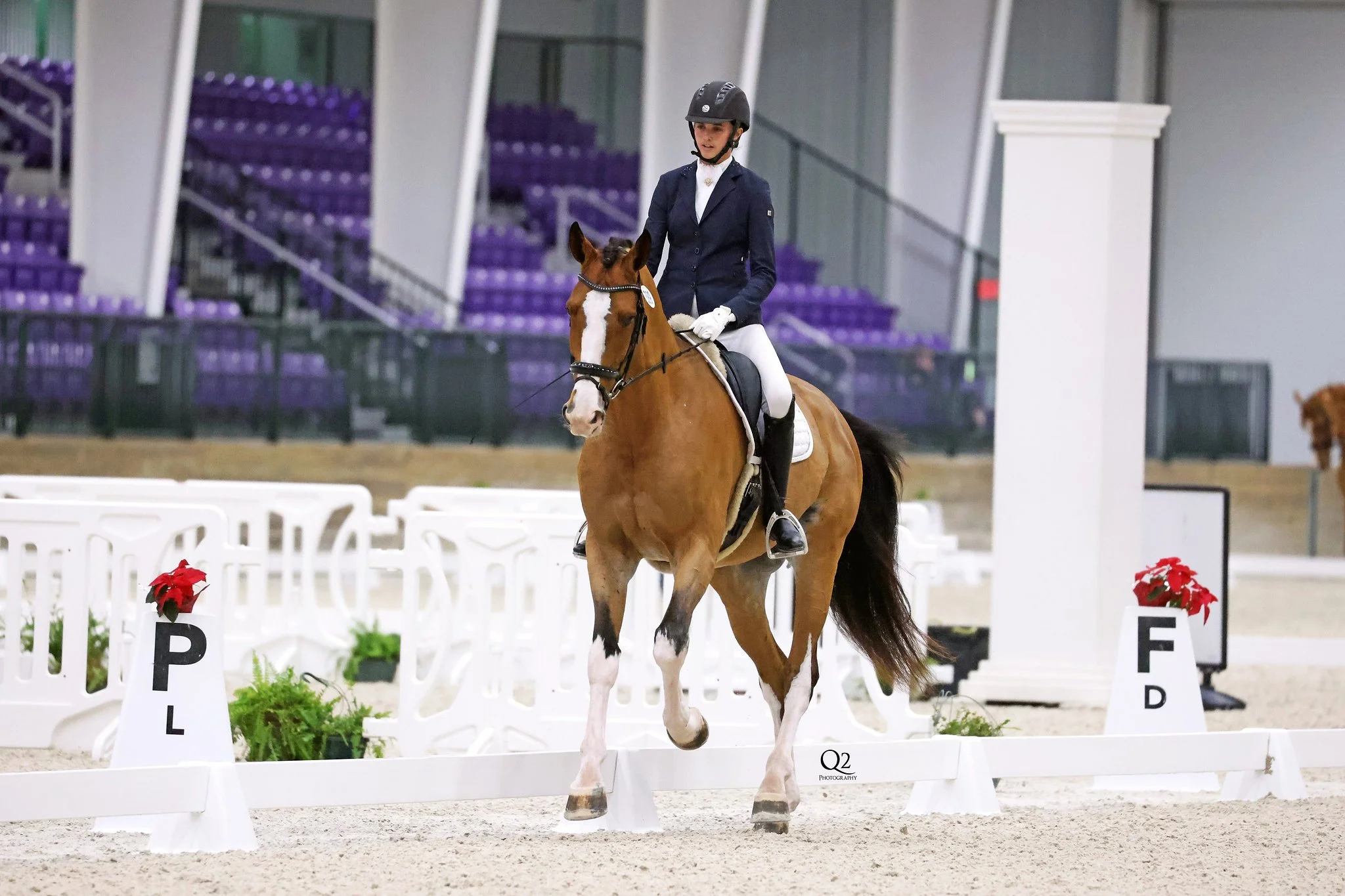 Anna Merritt Dressage
