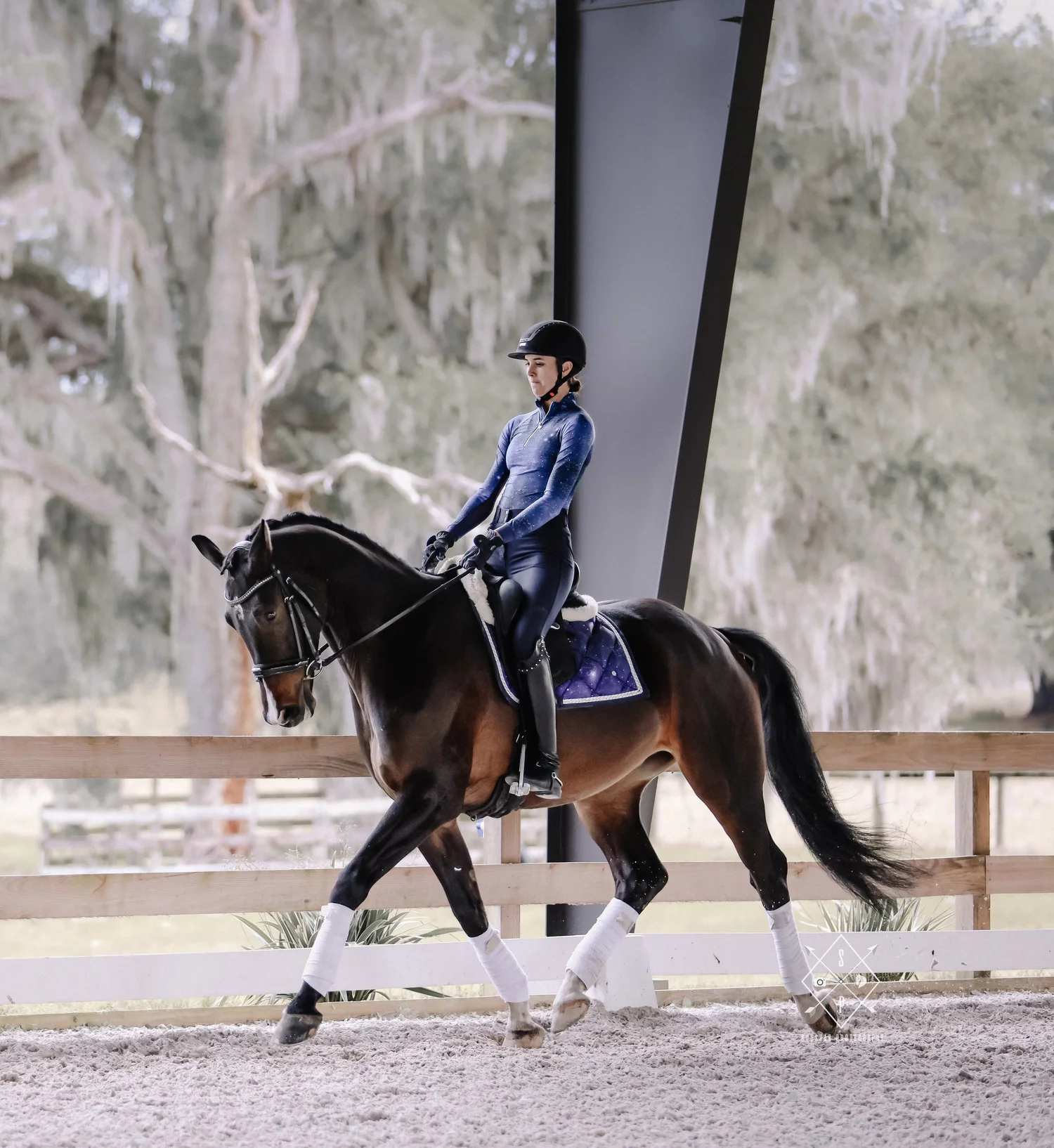 Anna Merritt DressageSales