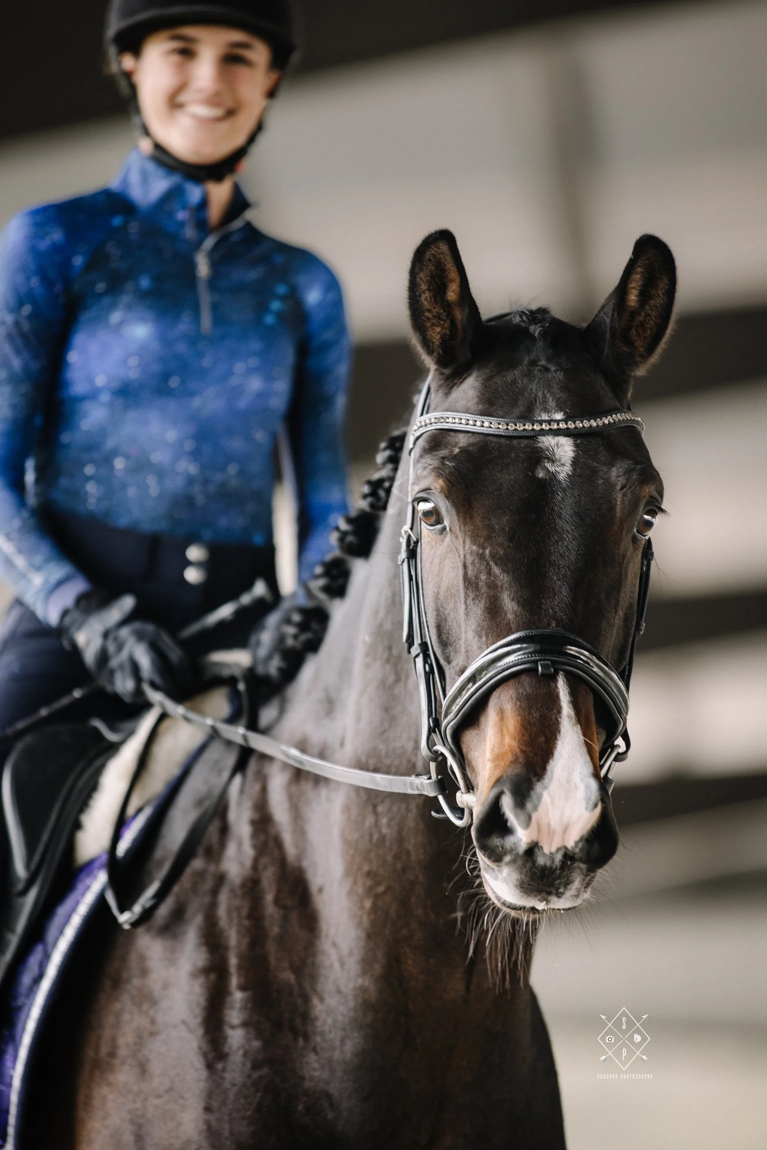 Anna Merritt DressageSales