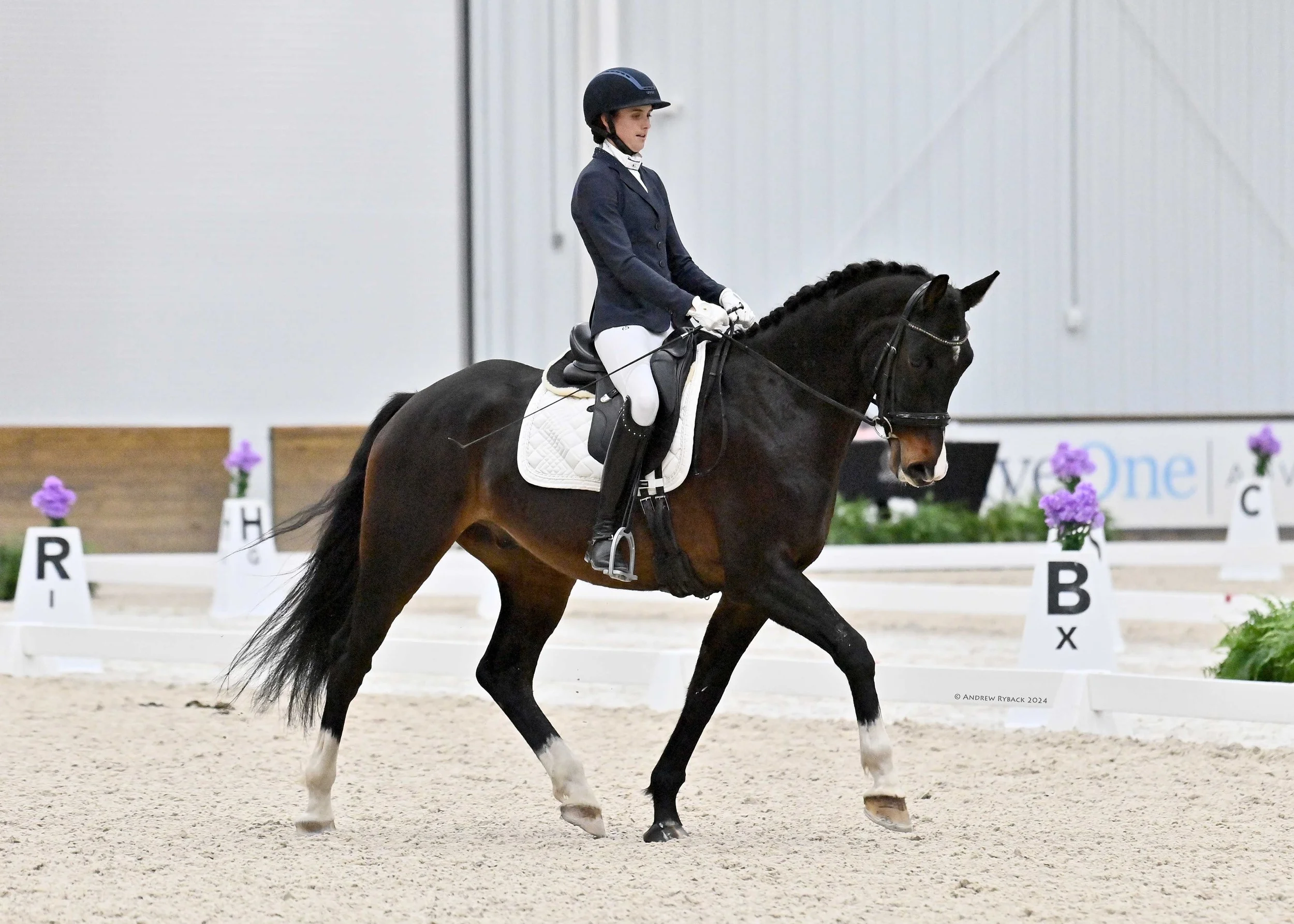 Anna Merritt DressageSales