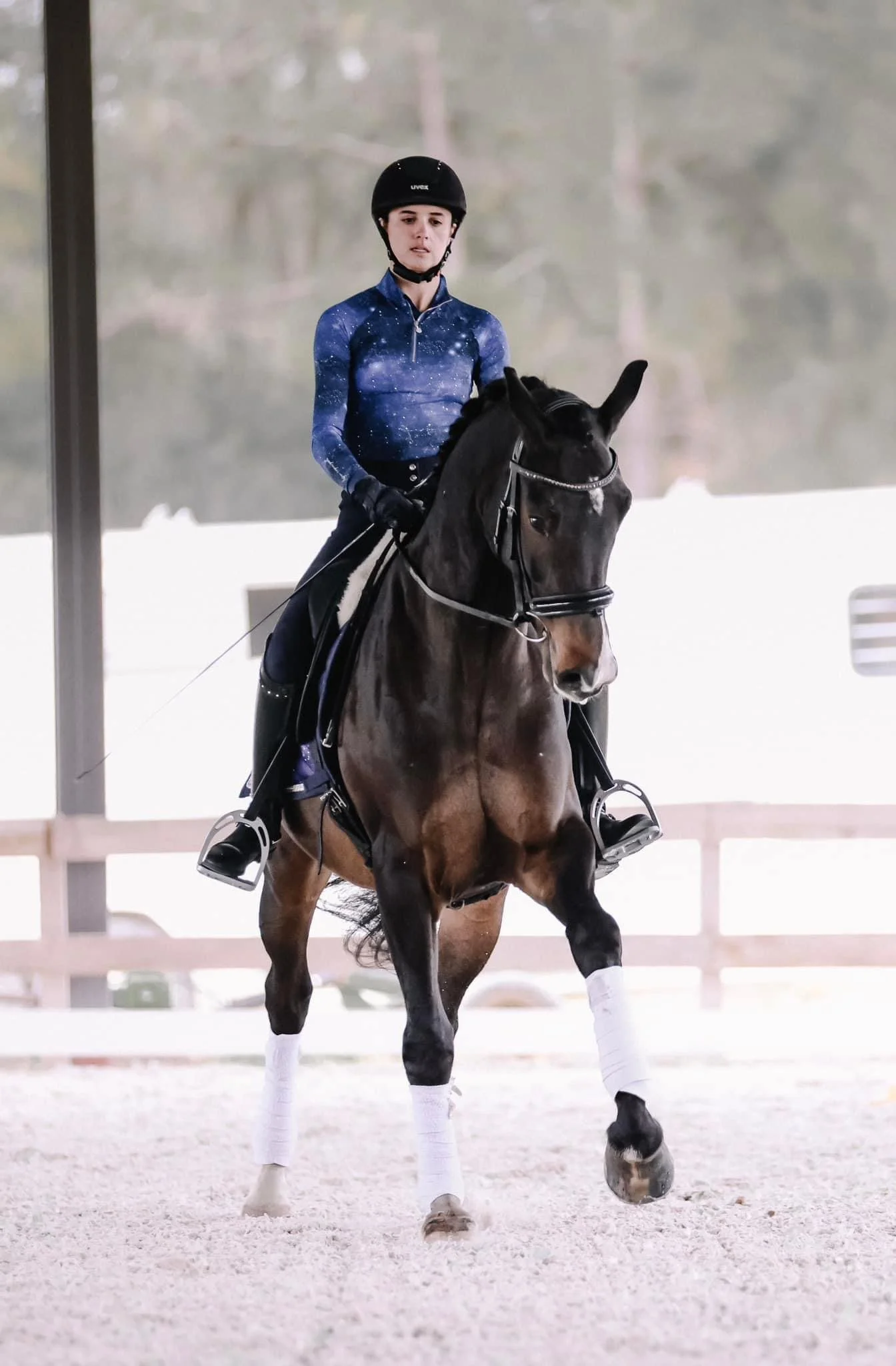 Anna Merritt DressageSales