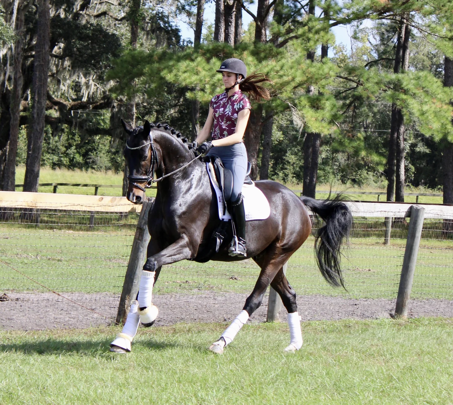 Anna Merritt DressageSales