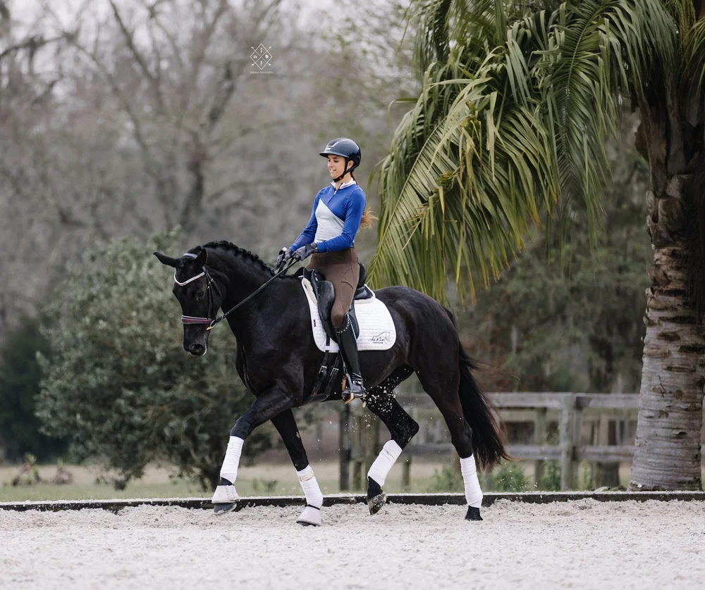 Anna Merritt DressageSales