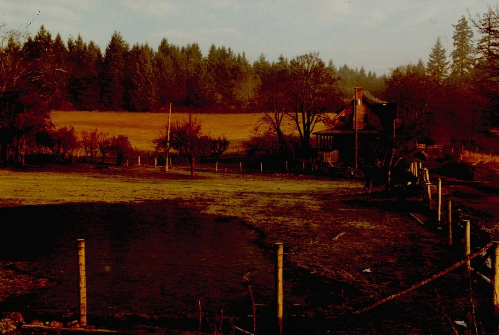 Our History — Stowel Lake Farm