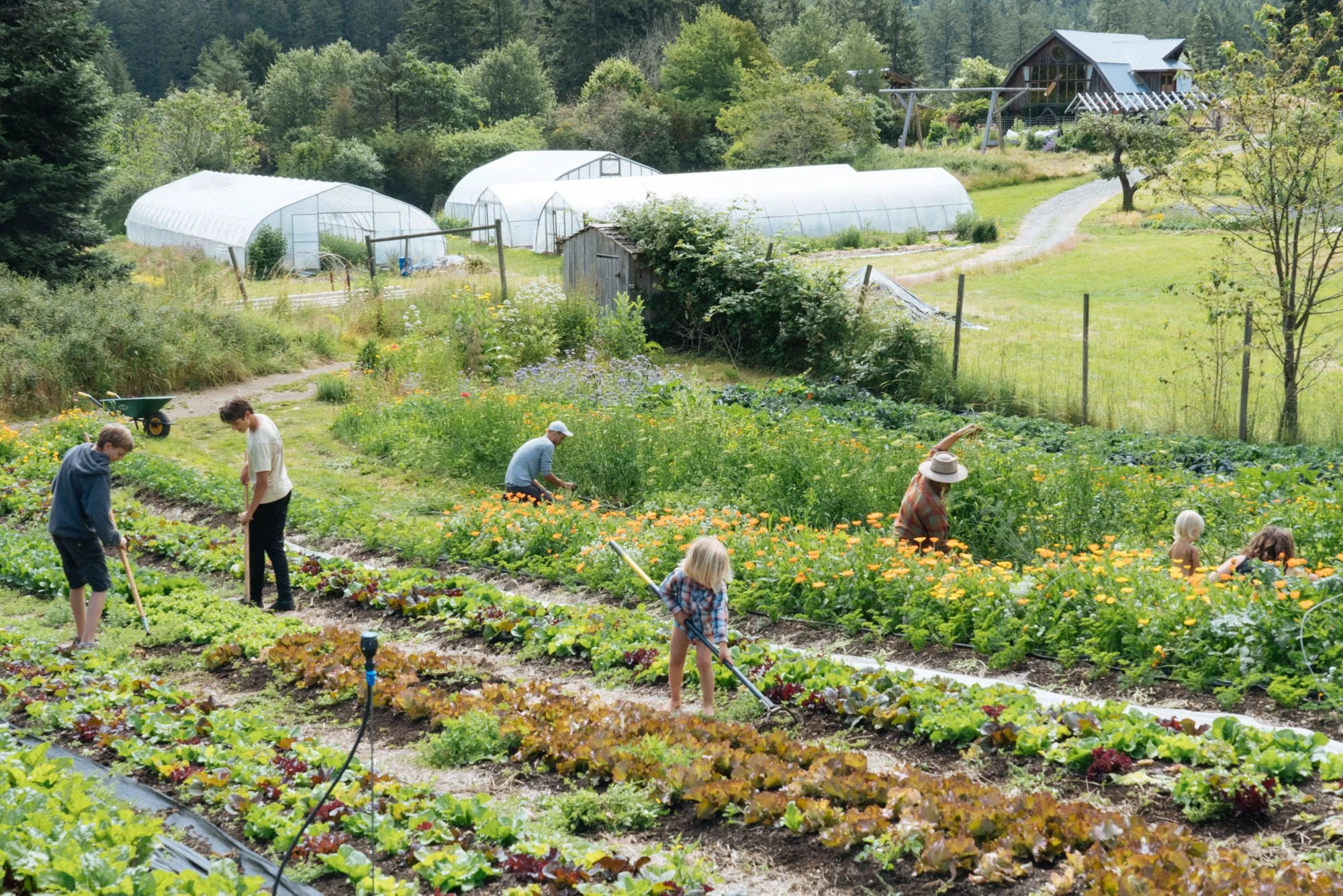 Our Community — Stowel Lake Farm