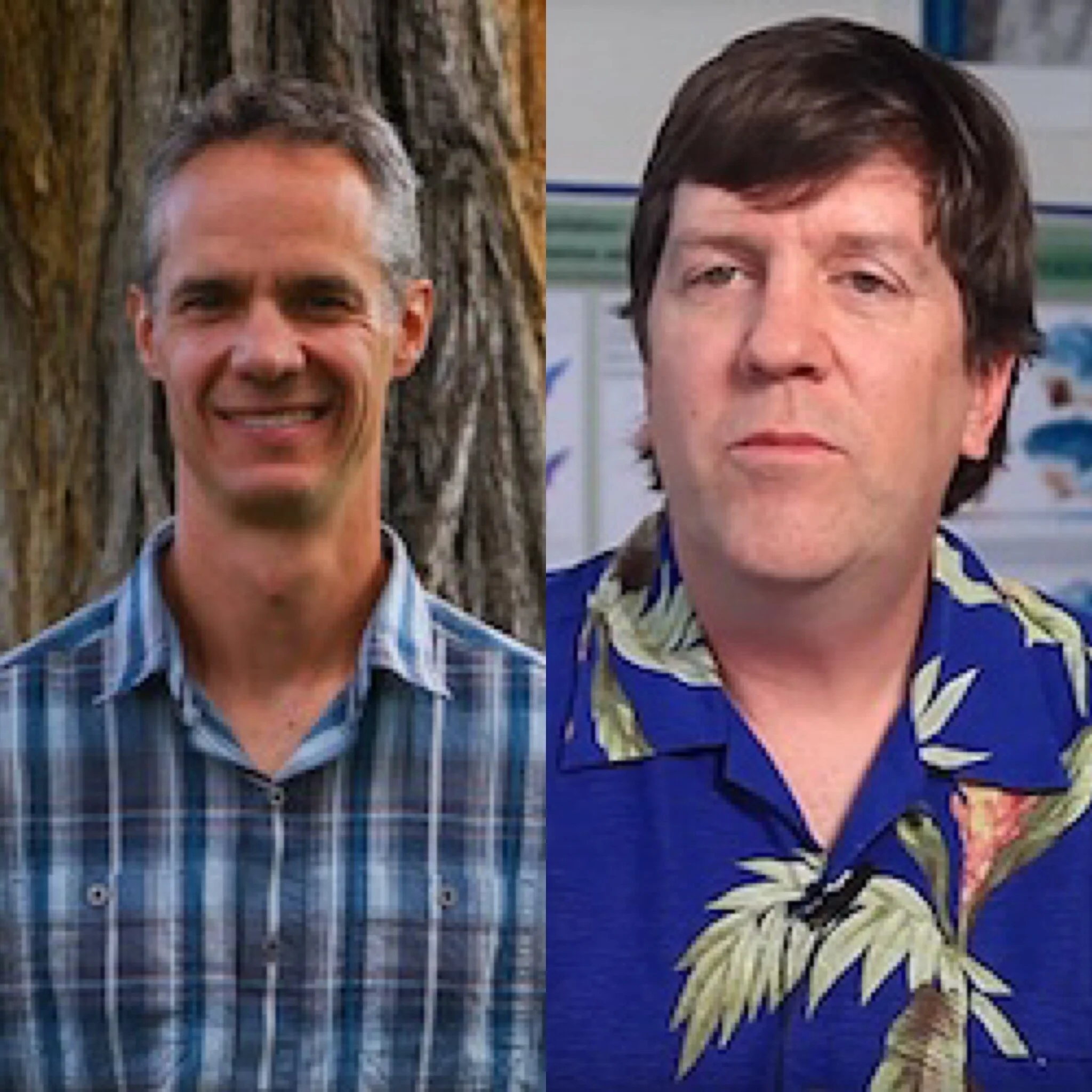 Environment — Stats + Stories