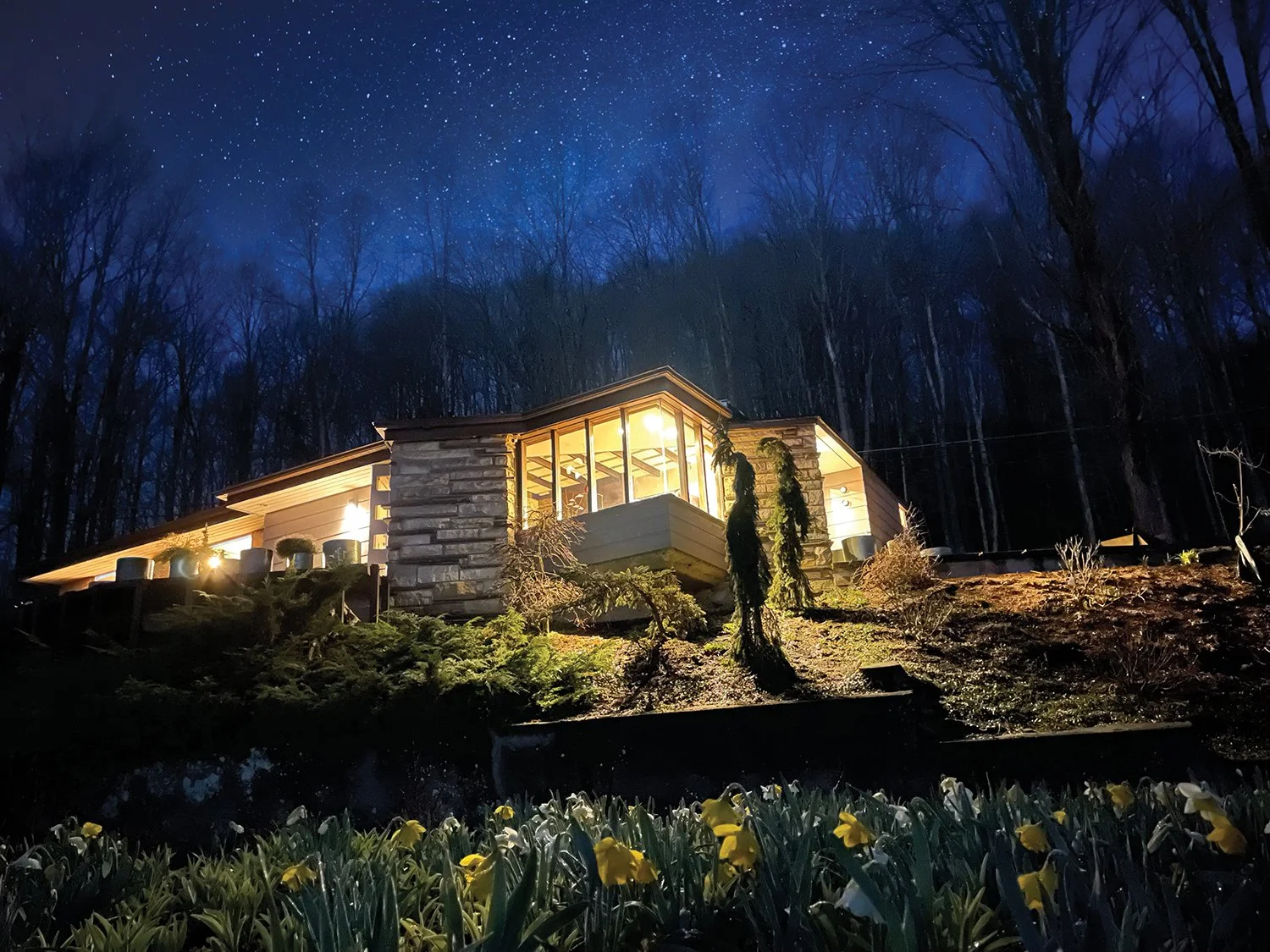 Usonian Cottage — Lynn Hall