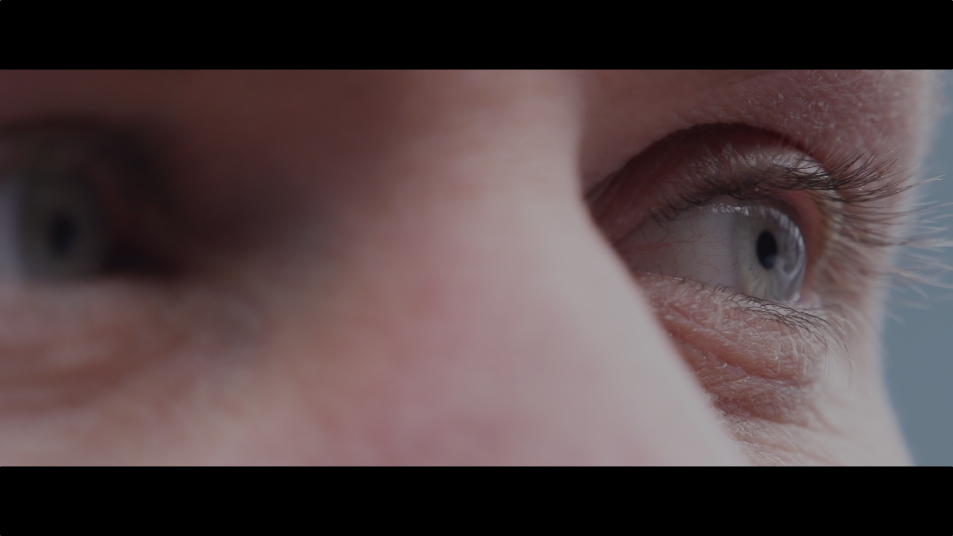 Free Letterbox Templates — FILM CRUX