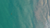 FILM CRUX Transitions Vol. 1 — FILM CRUX