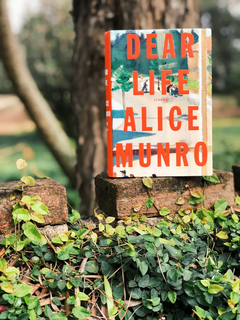 Back List Book Club 2019 — Shelf By Shelf