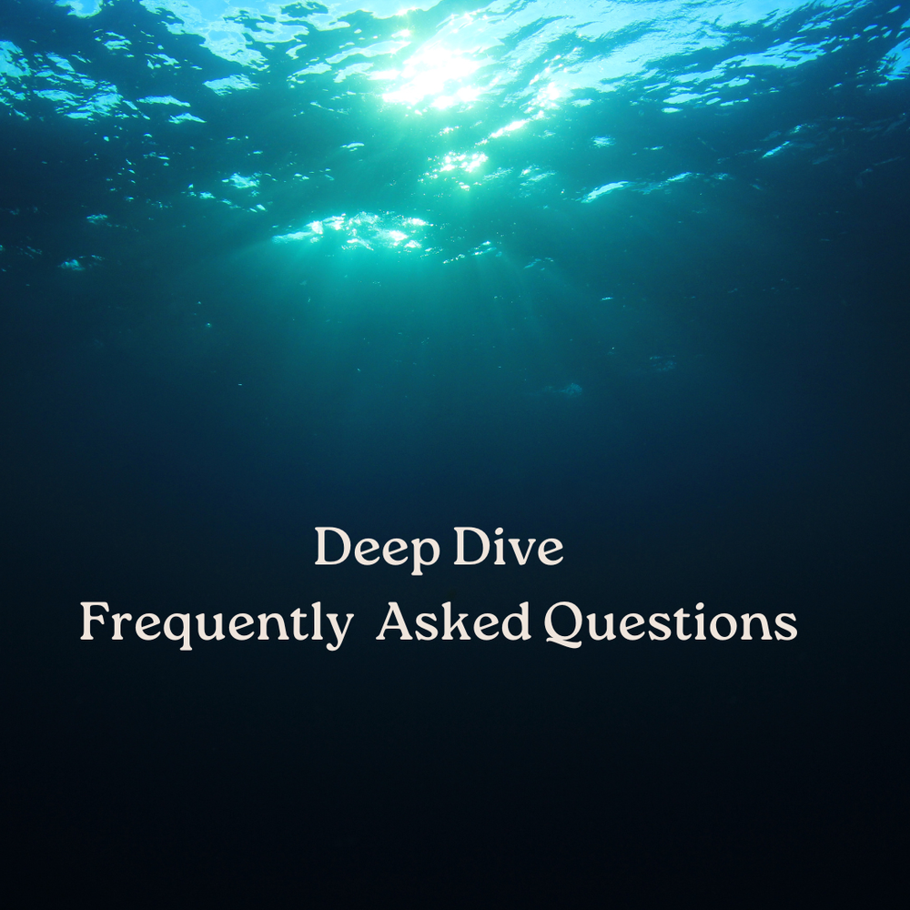 Deep Dive 2025 — Well-Being and Wonder