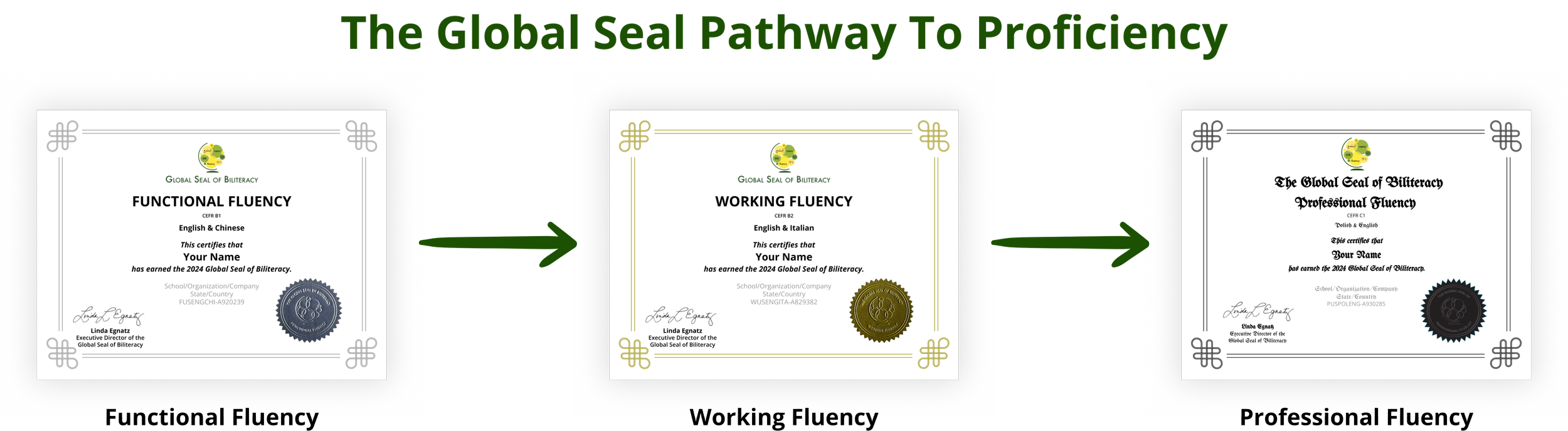 International Landing — Global Seal of Biliteracy