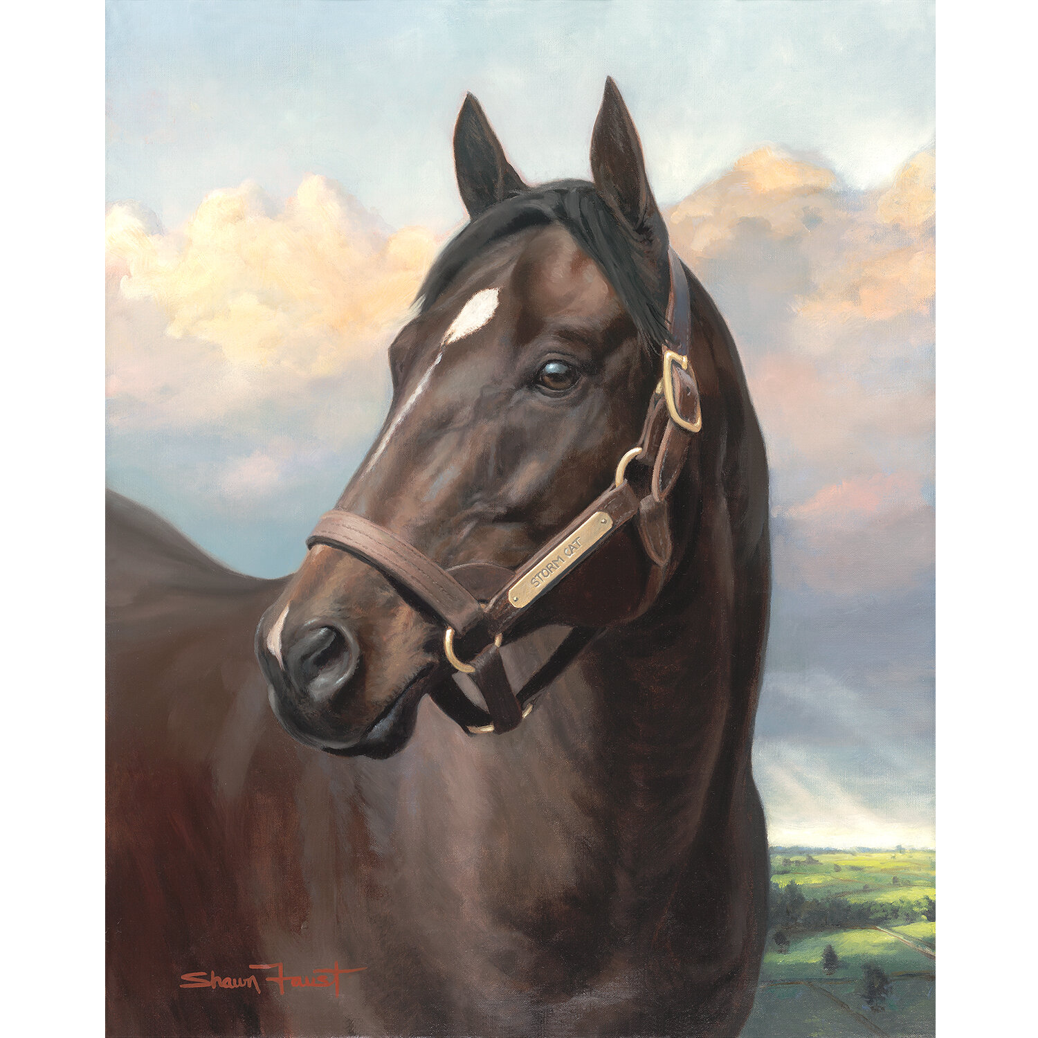 Limited Editions — Shawn Faust Studio