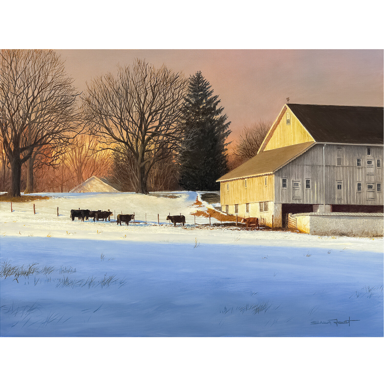 Limited Editions — Shawn Faust Studio