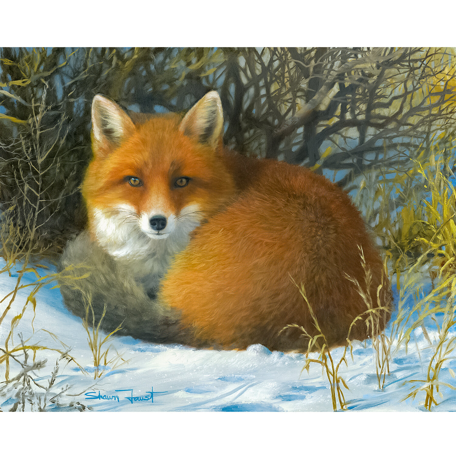 Limited Editions — Shawn Faust Studio