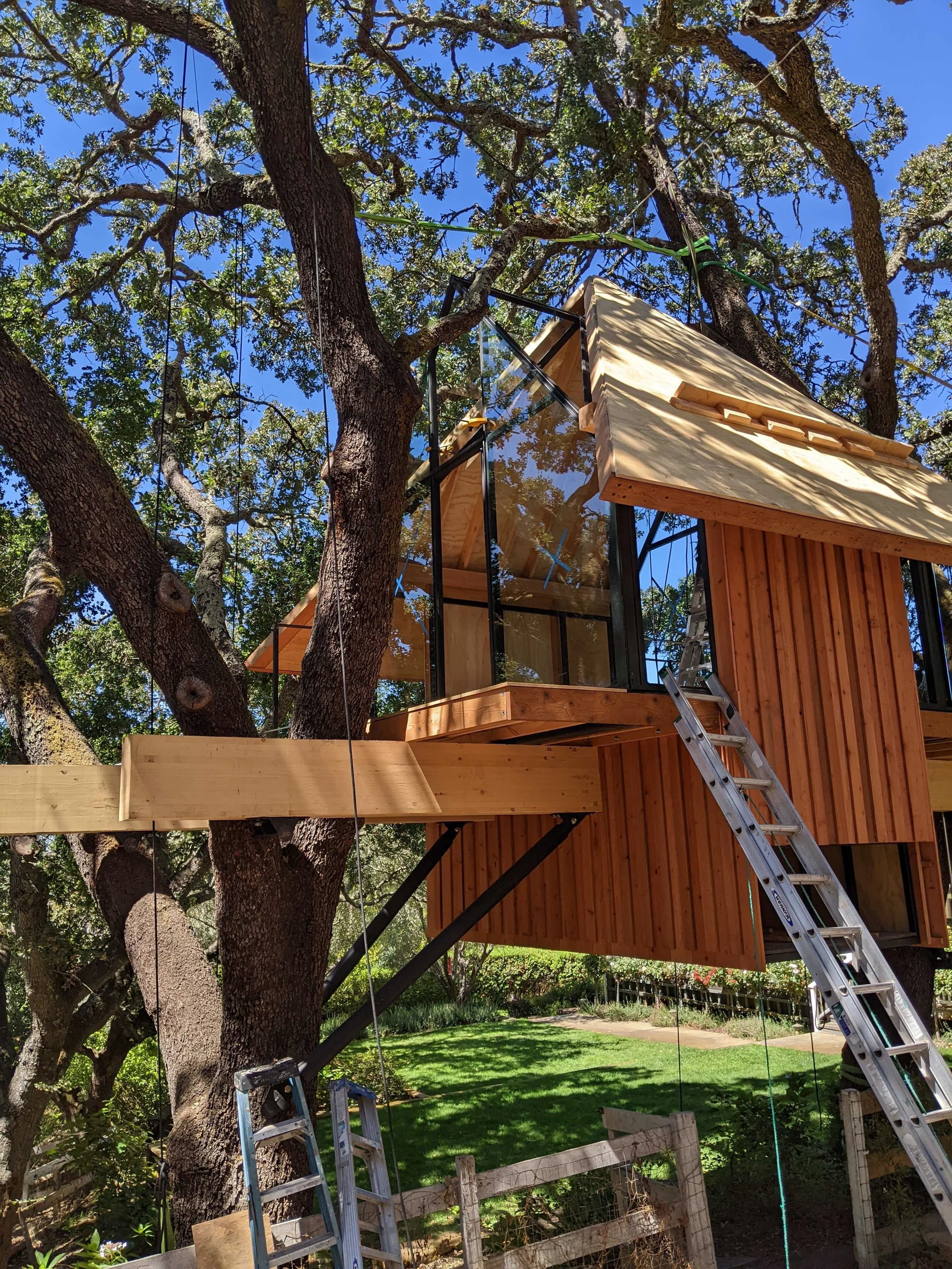 Napa Tree House