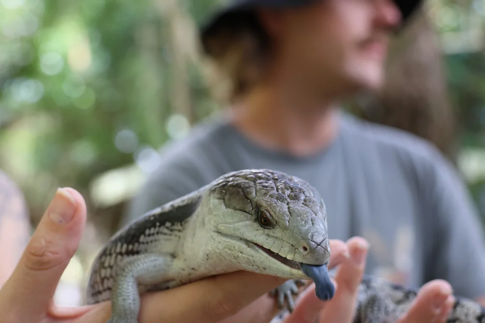 Byron Bay Wildlife Sanctuary Unveils New Family Nature Play Precinct ...