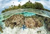 Tetepare: A Timeless Island Paradise in the Solomon Islands — Byron ...