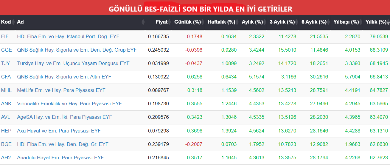 30 OCAK 2025 GÖNÜLLÜ BES FAİZLİ FONLARDA EN İYİLER — Zeynep Candan Aktaş