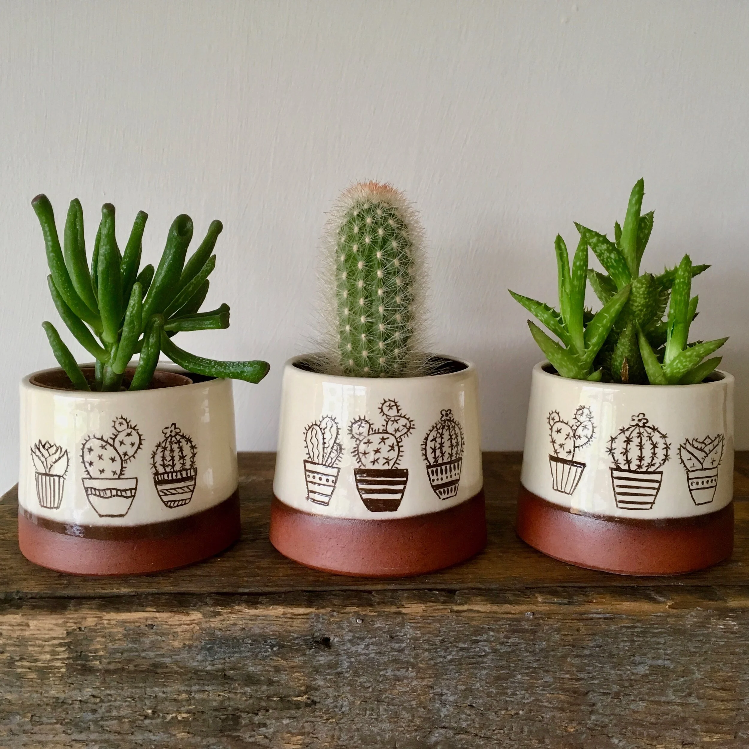 WENDY CALDER CERAMICS – SHOP