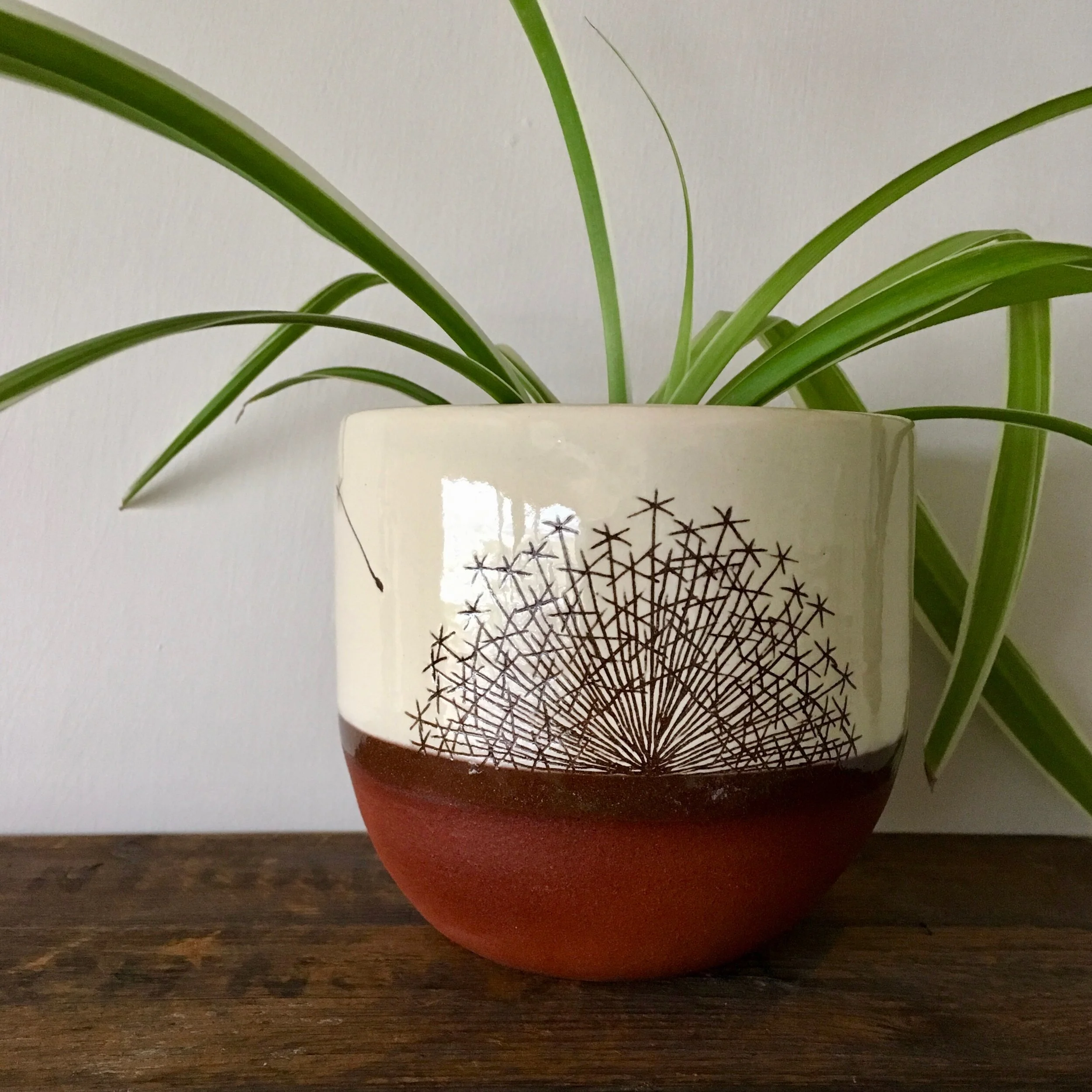 WENDY CALDER CERAMICS – SHOP