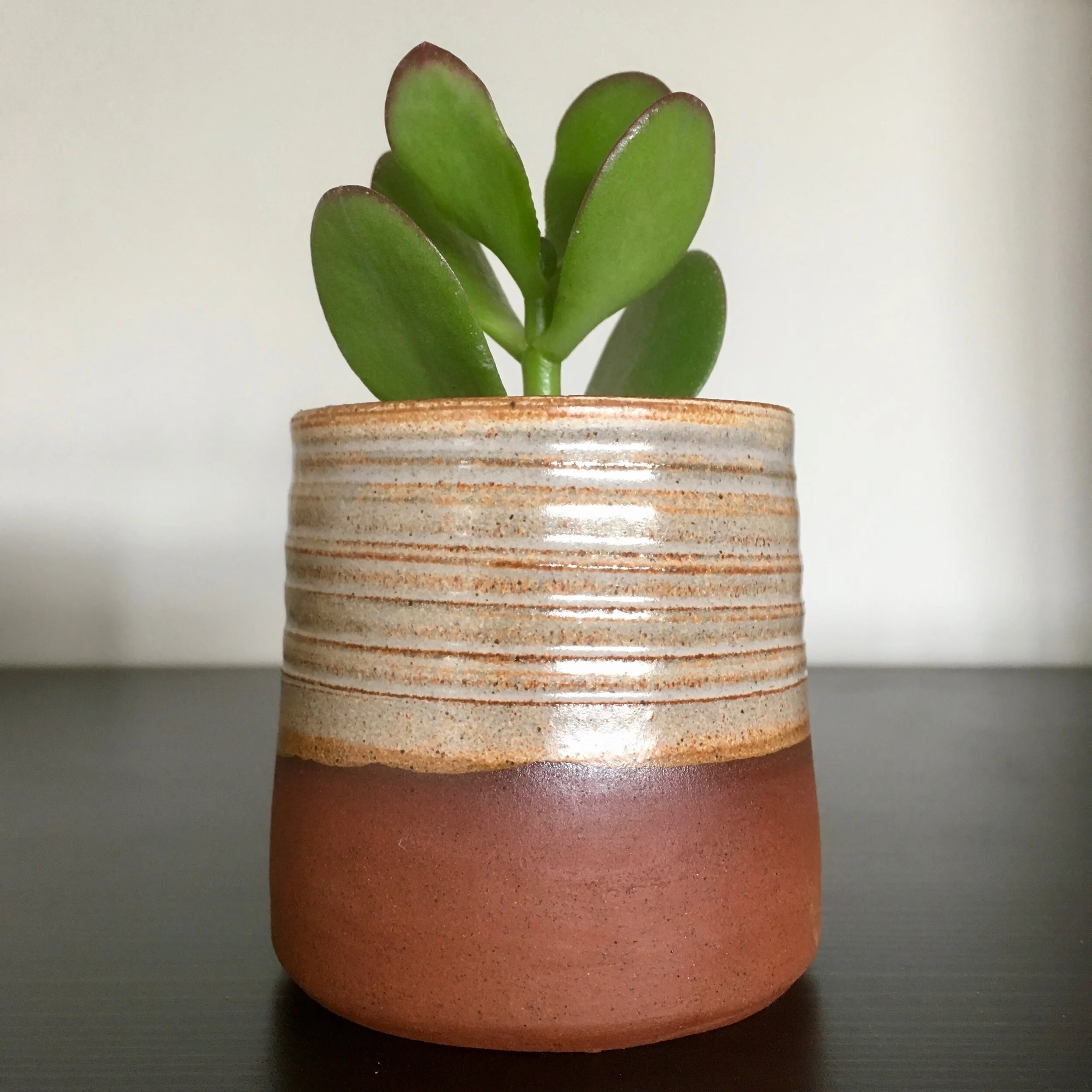 WENDY CALDER CERAMICS – SHOP